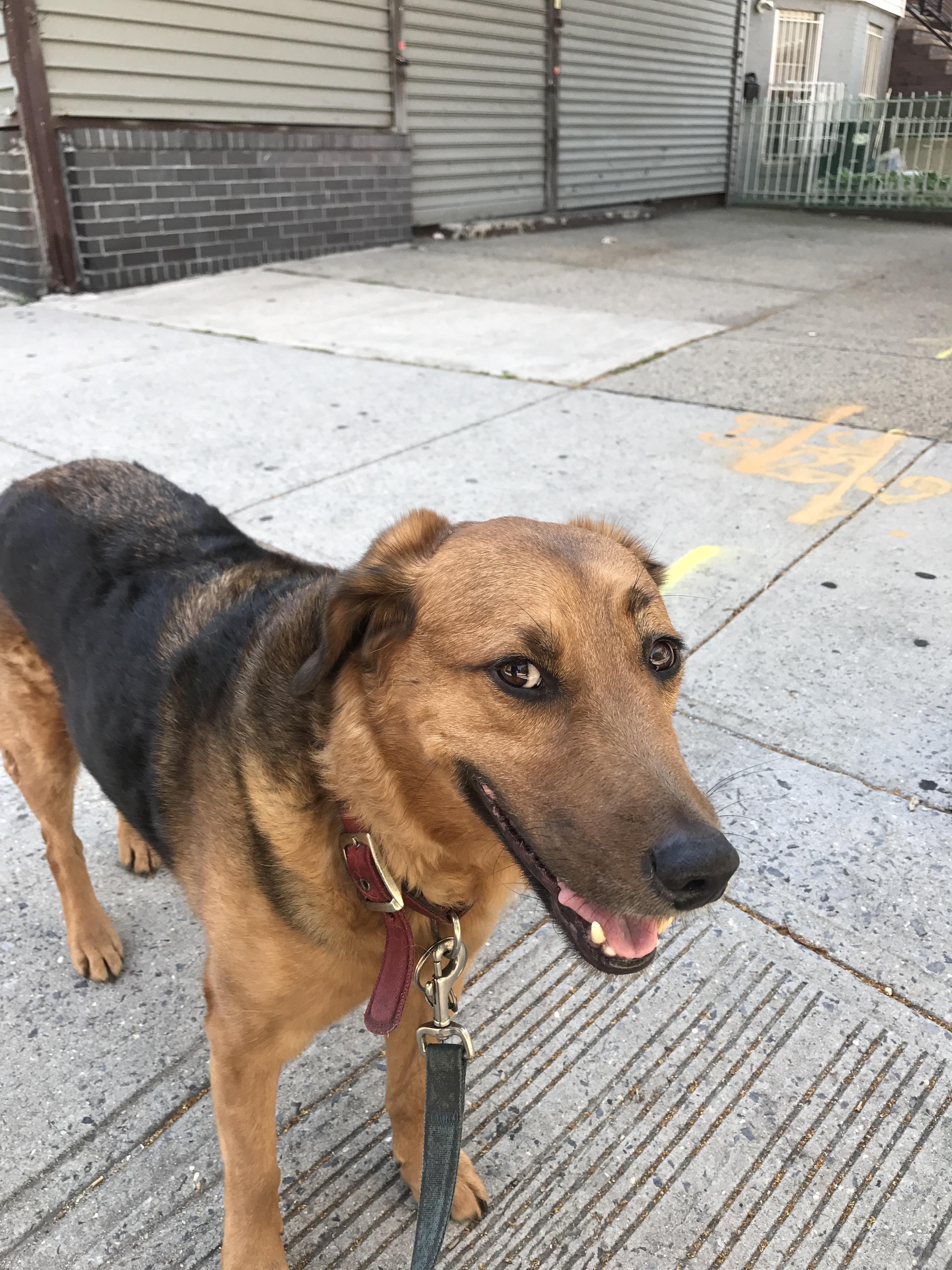 One Eyebrow Raised Scrolller