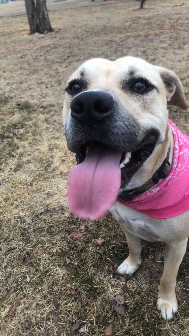 One good and happy boi | Scrolller