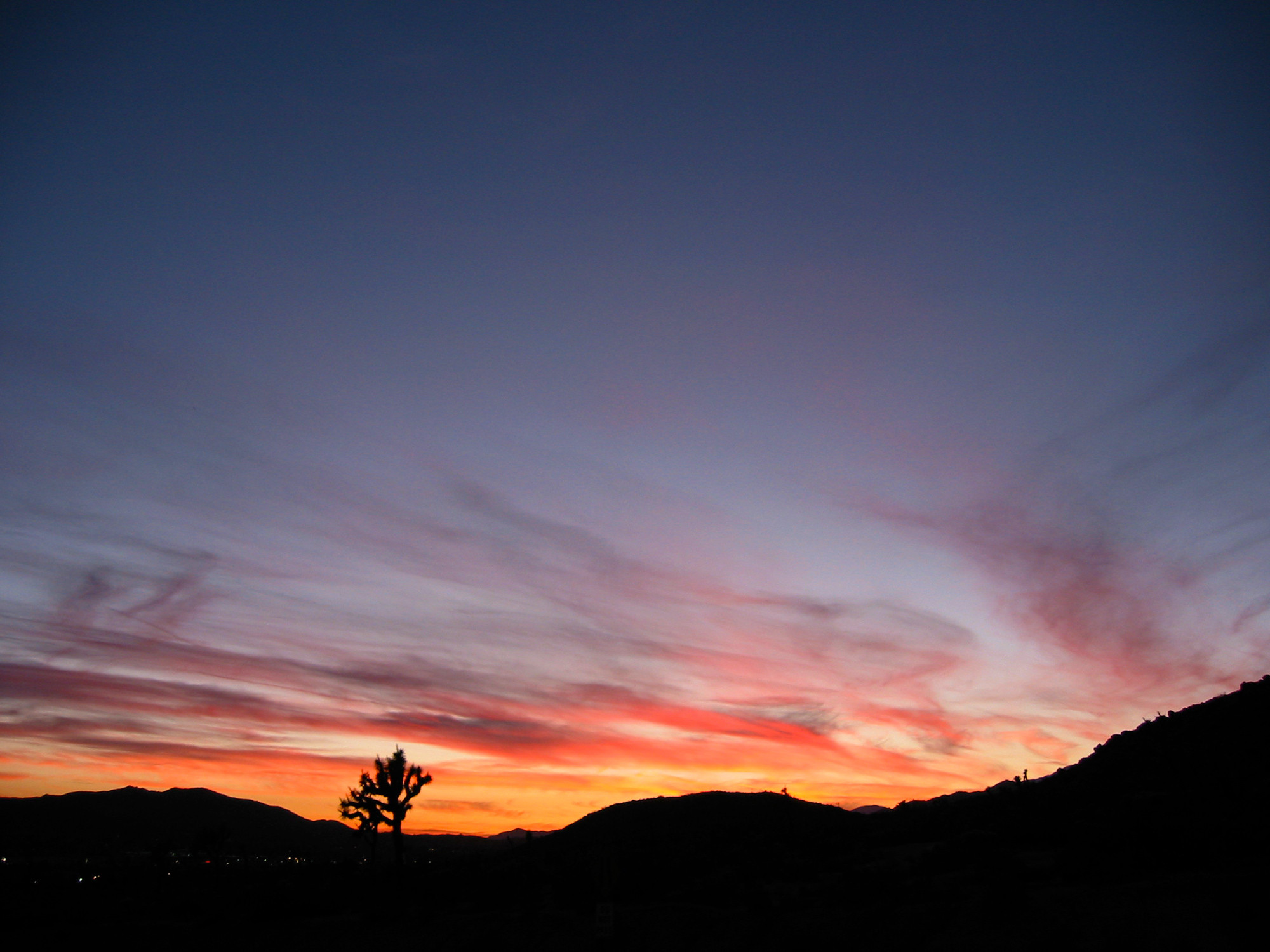 One of many gorgeous sunsets in Joshua Tree | Scrolller
