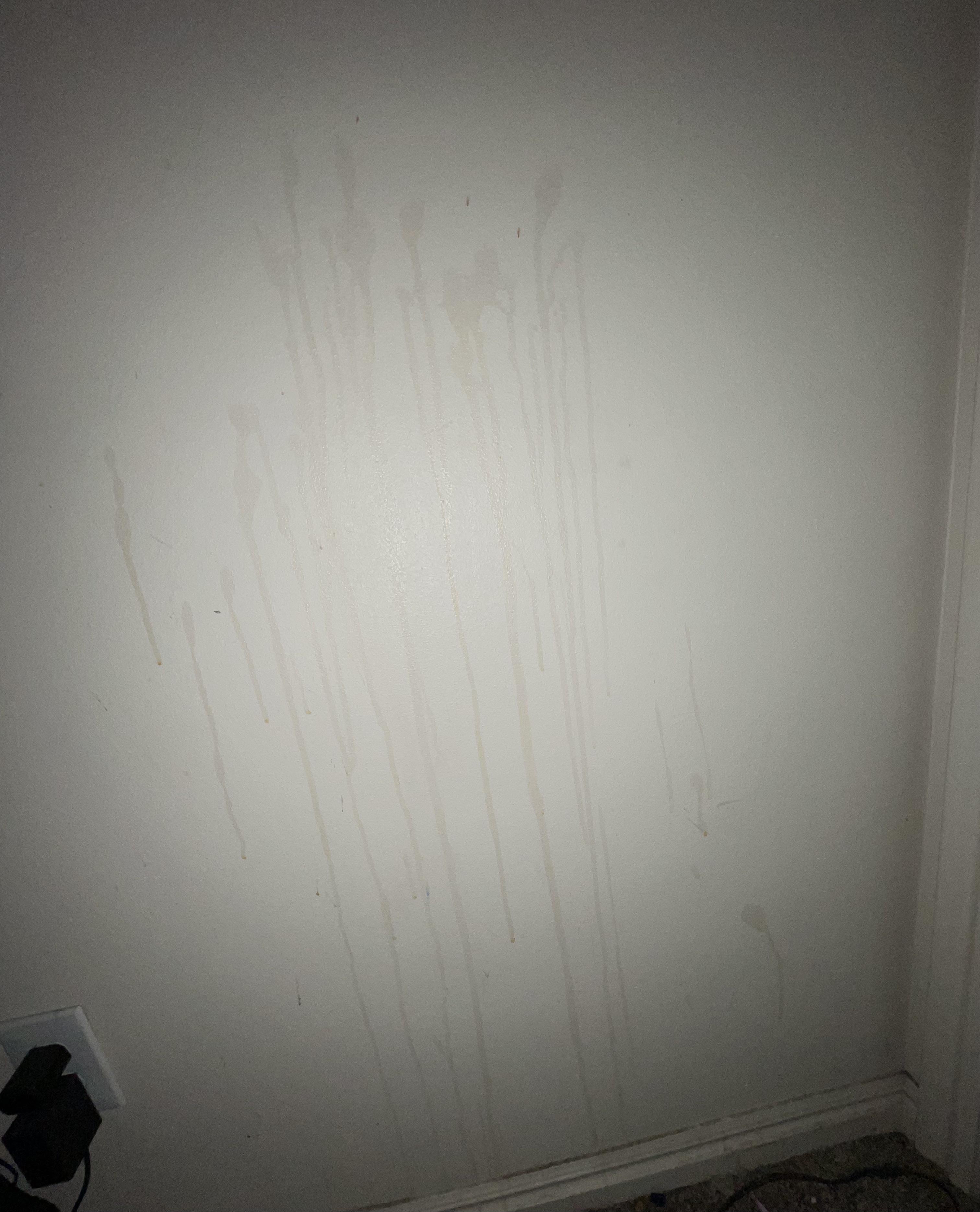 One of the walls in my bedroom | Scrolller