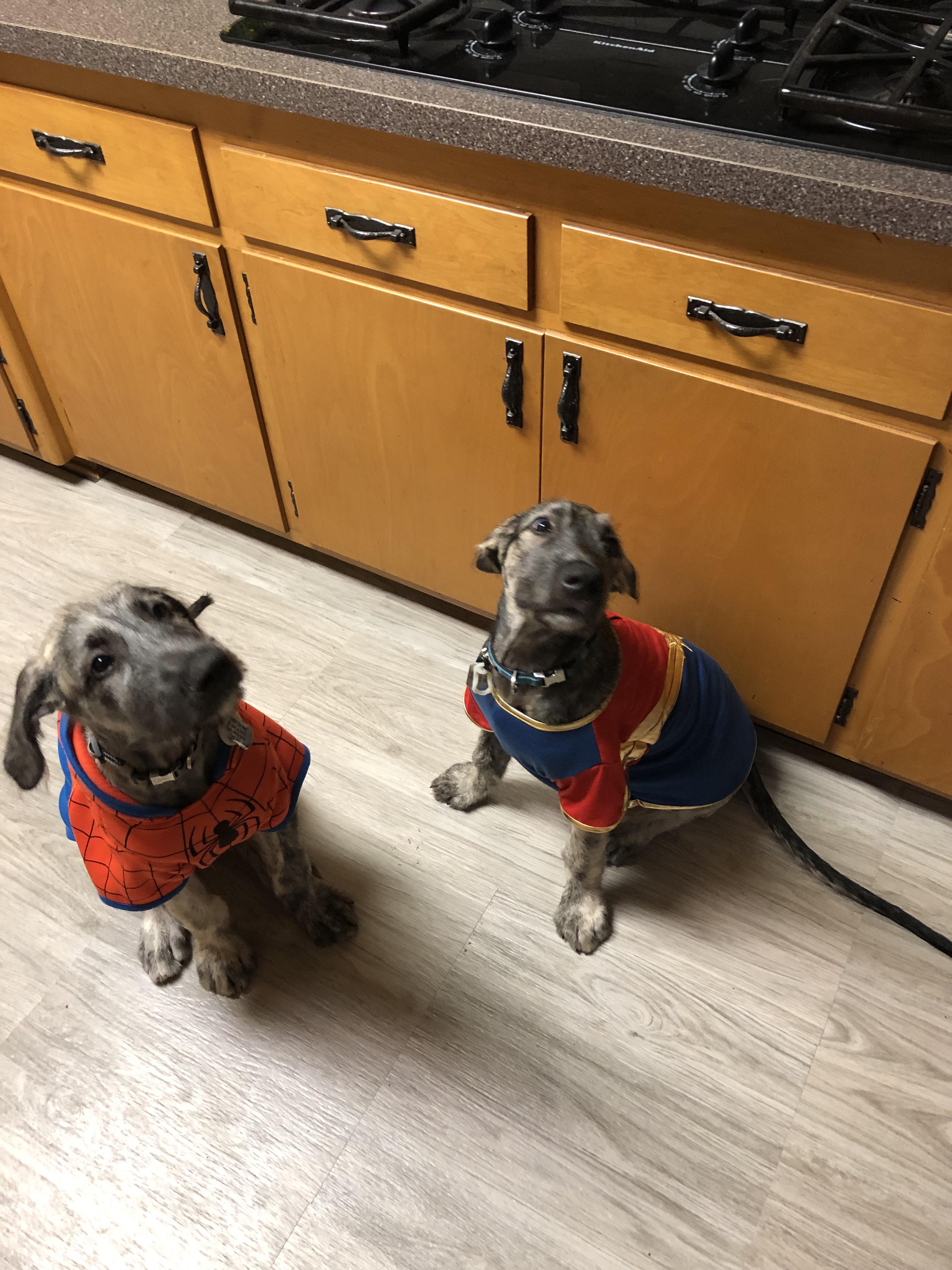 One year ago. Can’t believe they were ever this small. | Scrolller