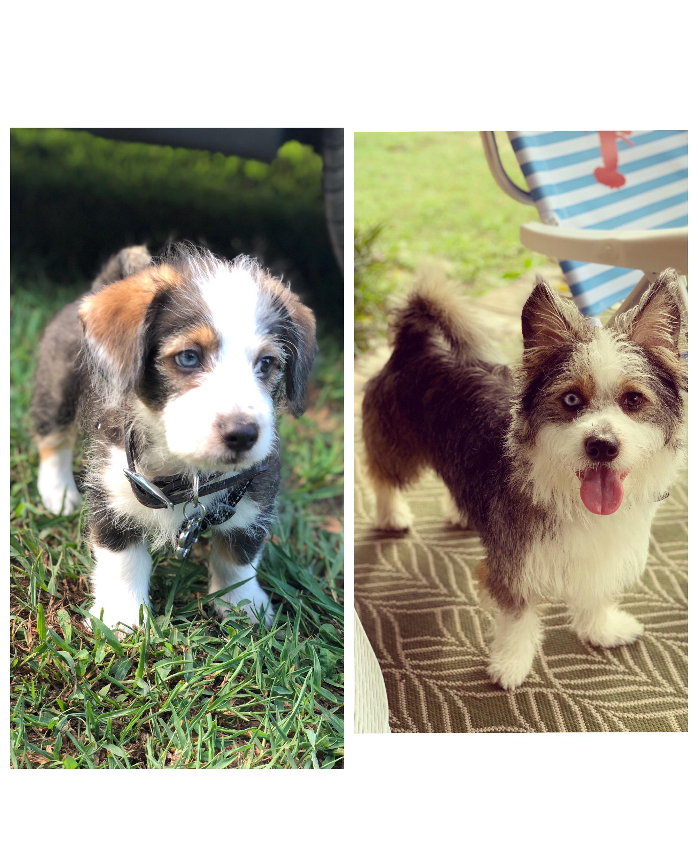 One year difference! | Scrolller