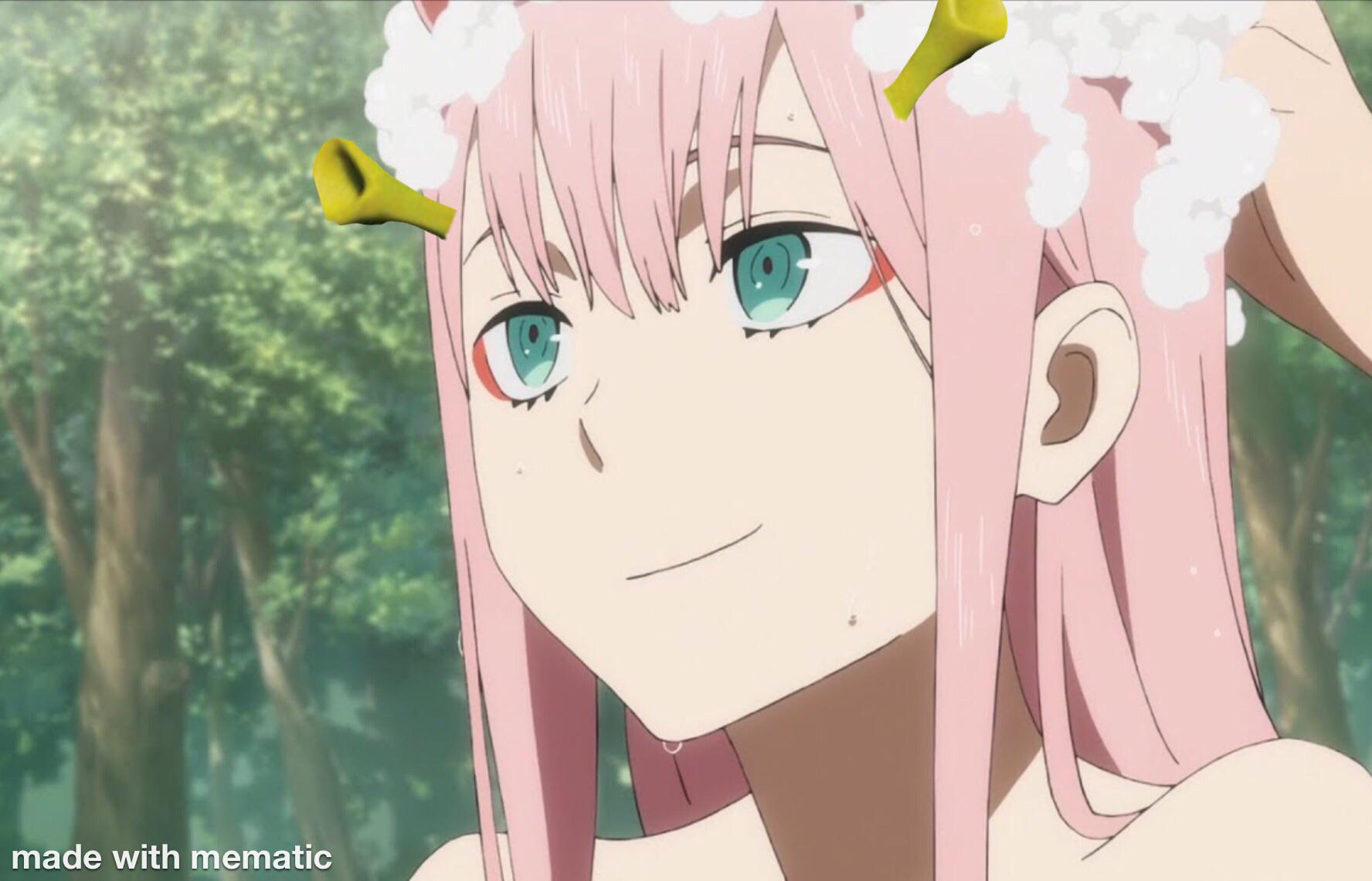 Onion layer #22 | Scrolller