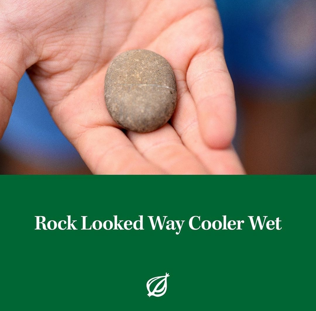 Onion Rule? | Scrolller