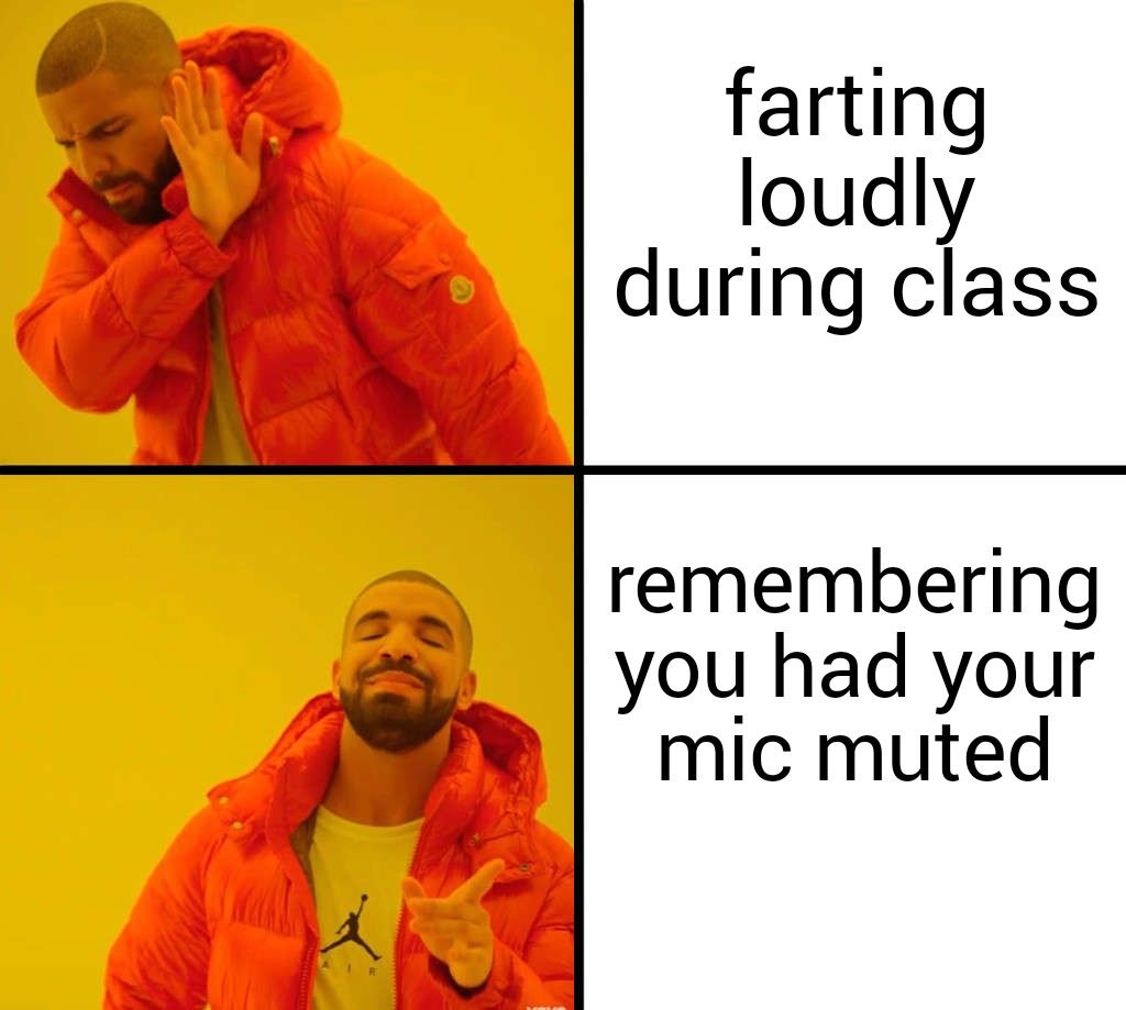 Online classes have some upsides | Scrolller