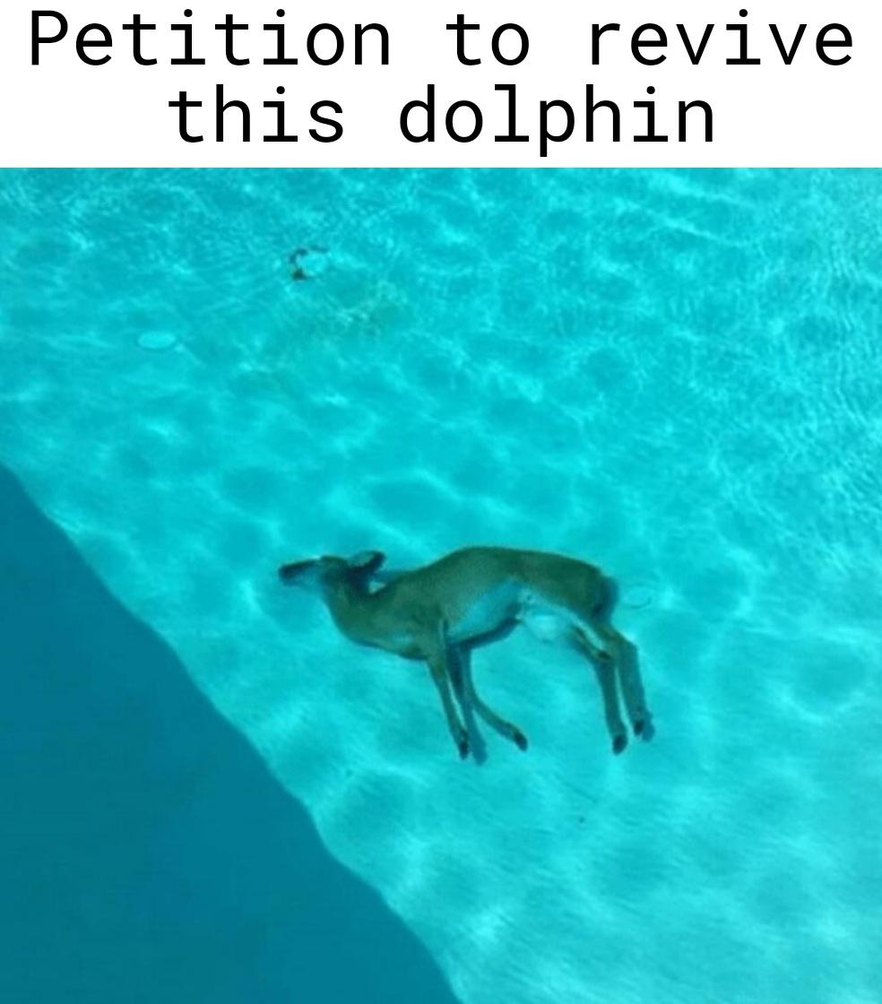 Only legends remember this buddy | Scrolller