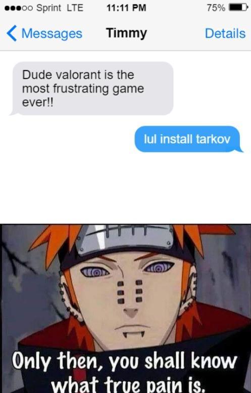 Only Tarkov players can understand my pain | Scrolller