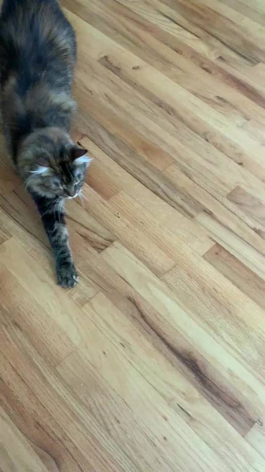 Ooooooo big stretch | Scrolller