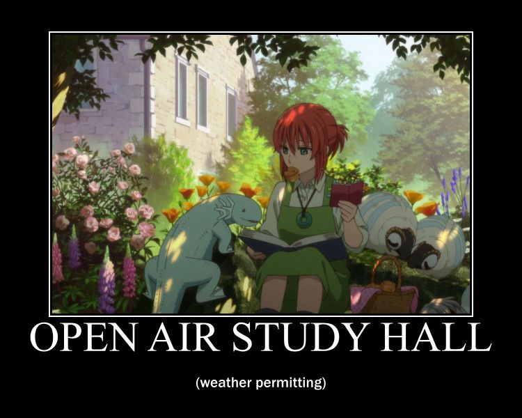 {OP} Only way to learn | Scrolller