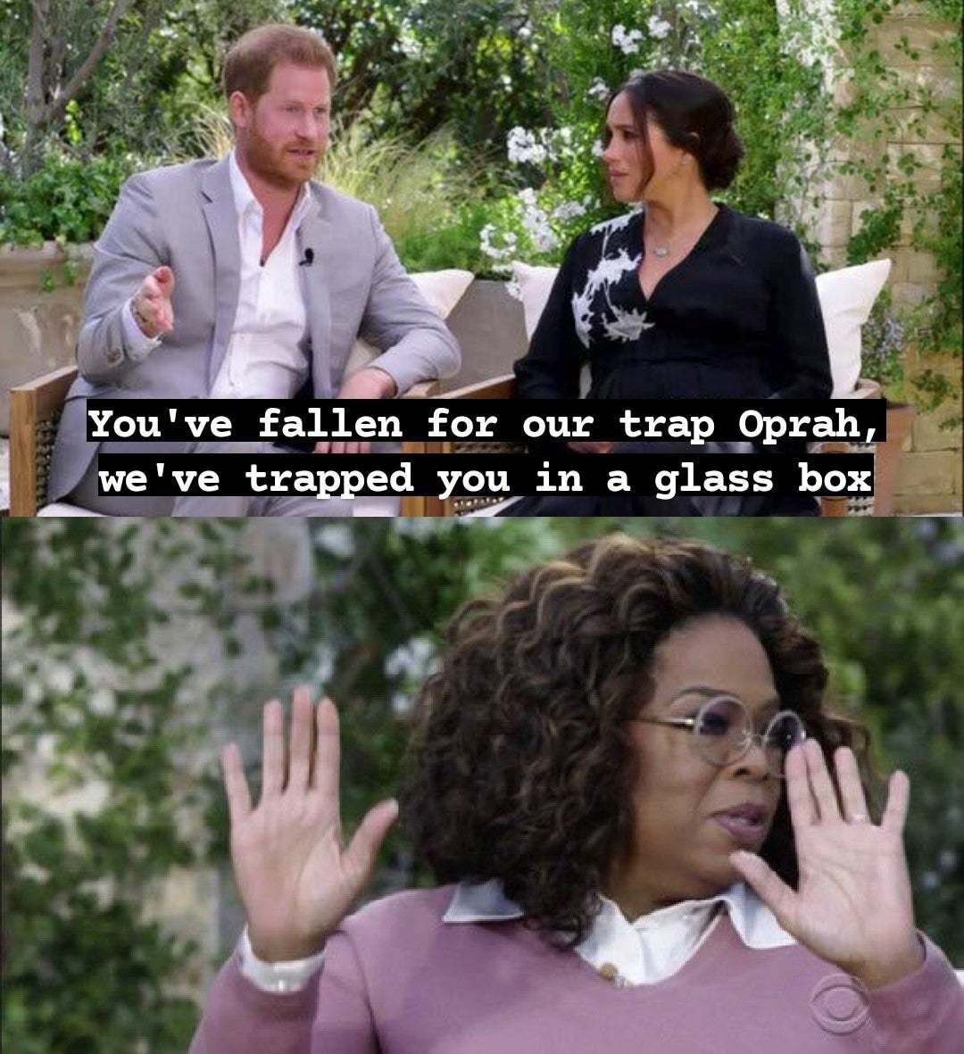 🅱️oprah | Scrolller
