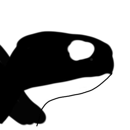 Orca | Scrolller