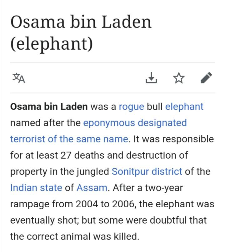 Osama rule laden | Scrolller