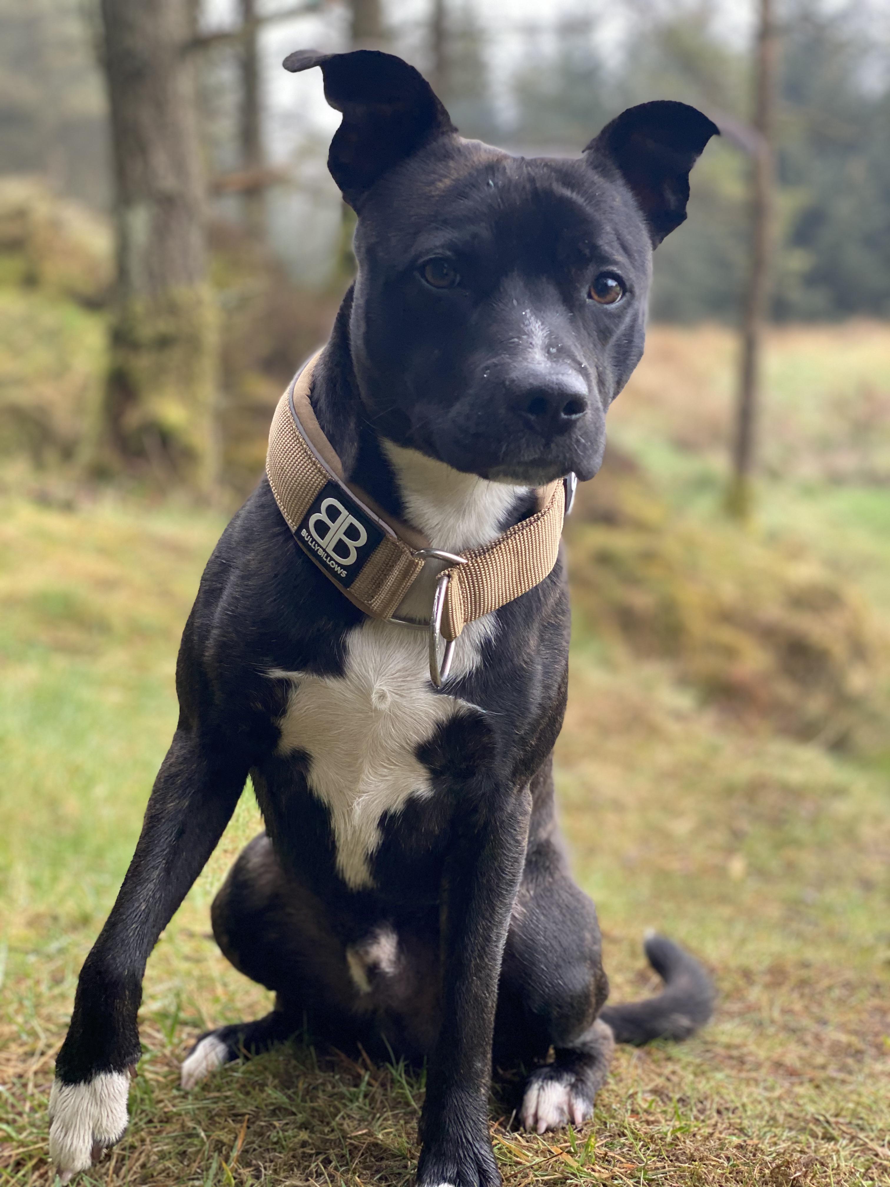 Our 10 month handsome boy | Scrolller