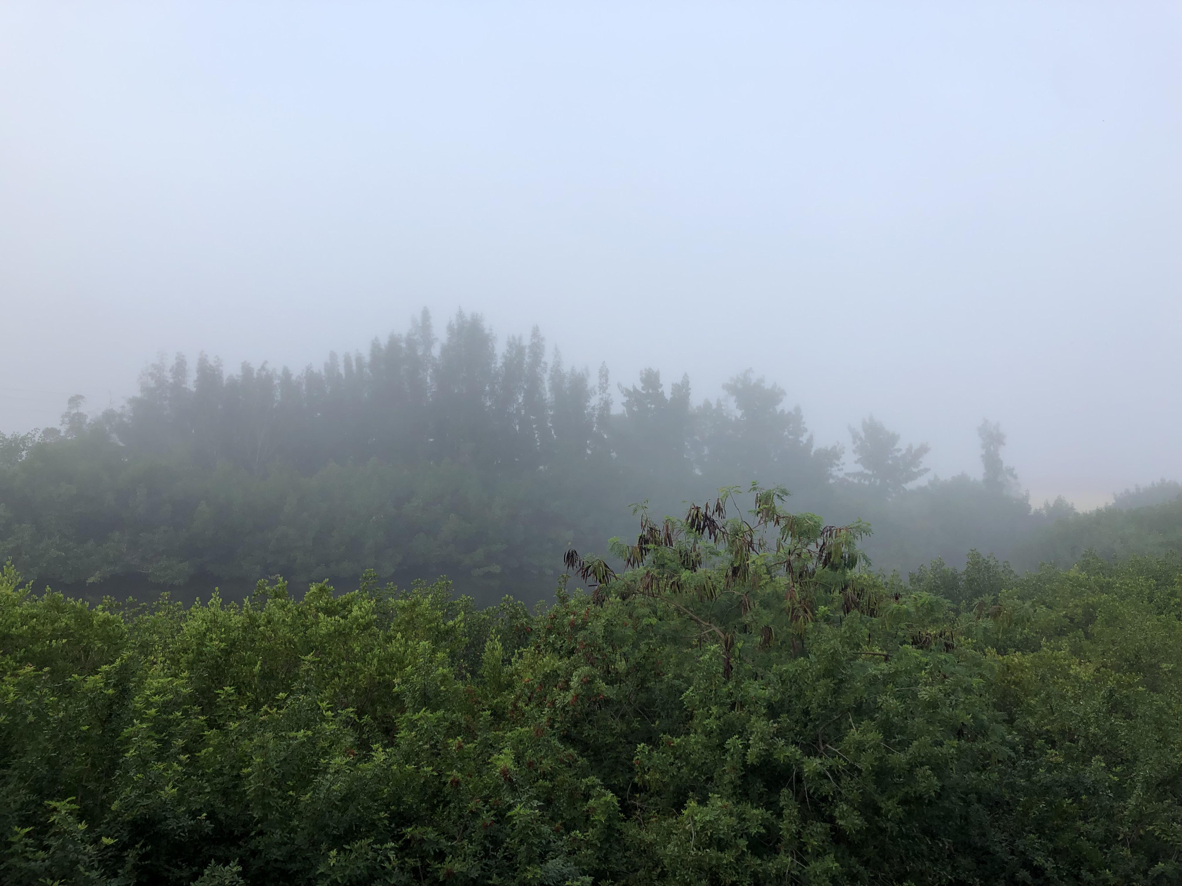Our back porch this AM | Scrolller