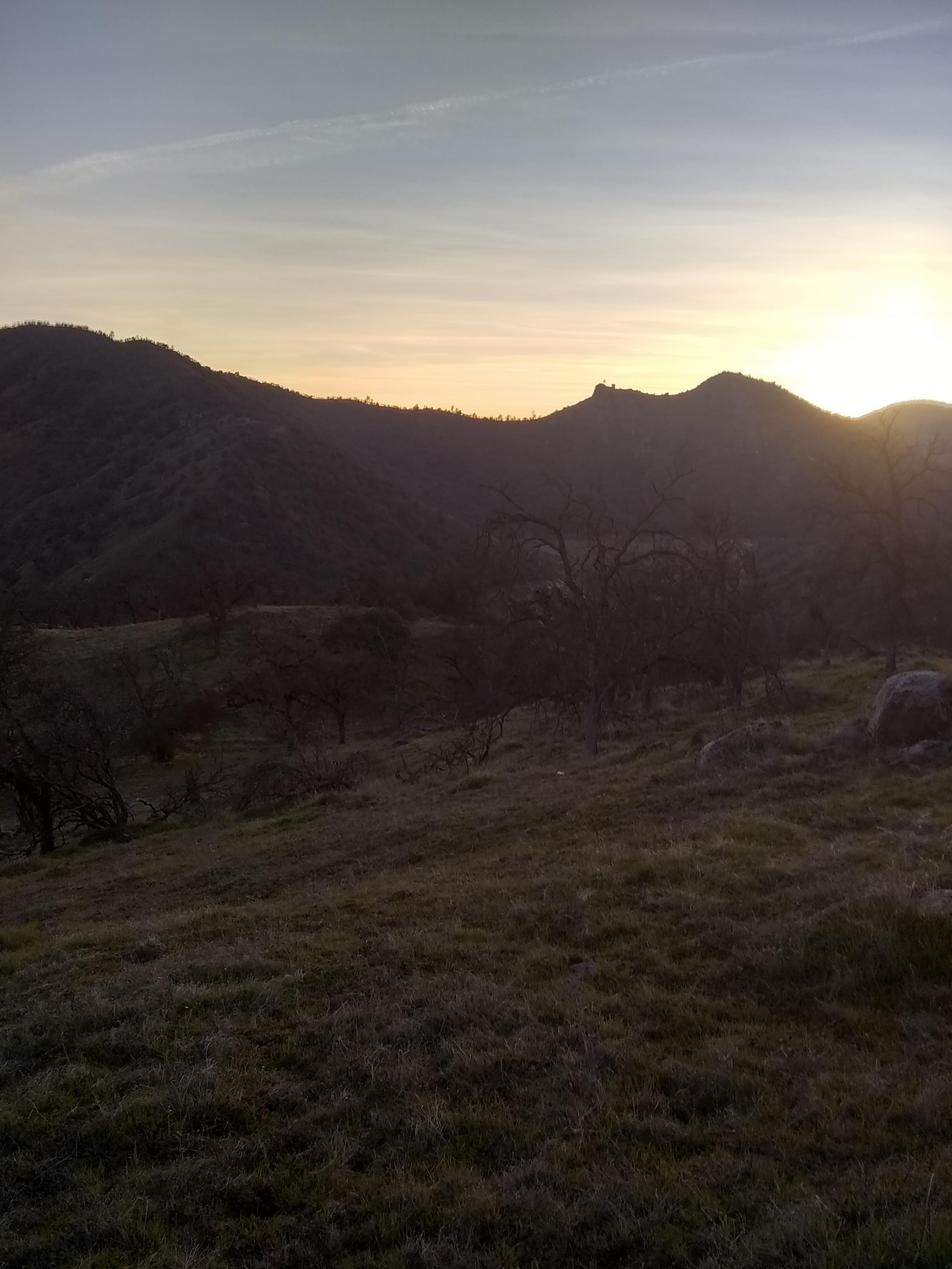 Our backyard | Scrolller