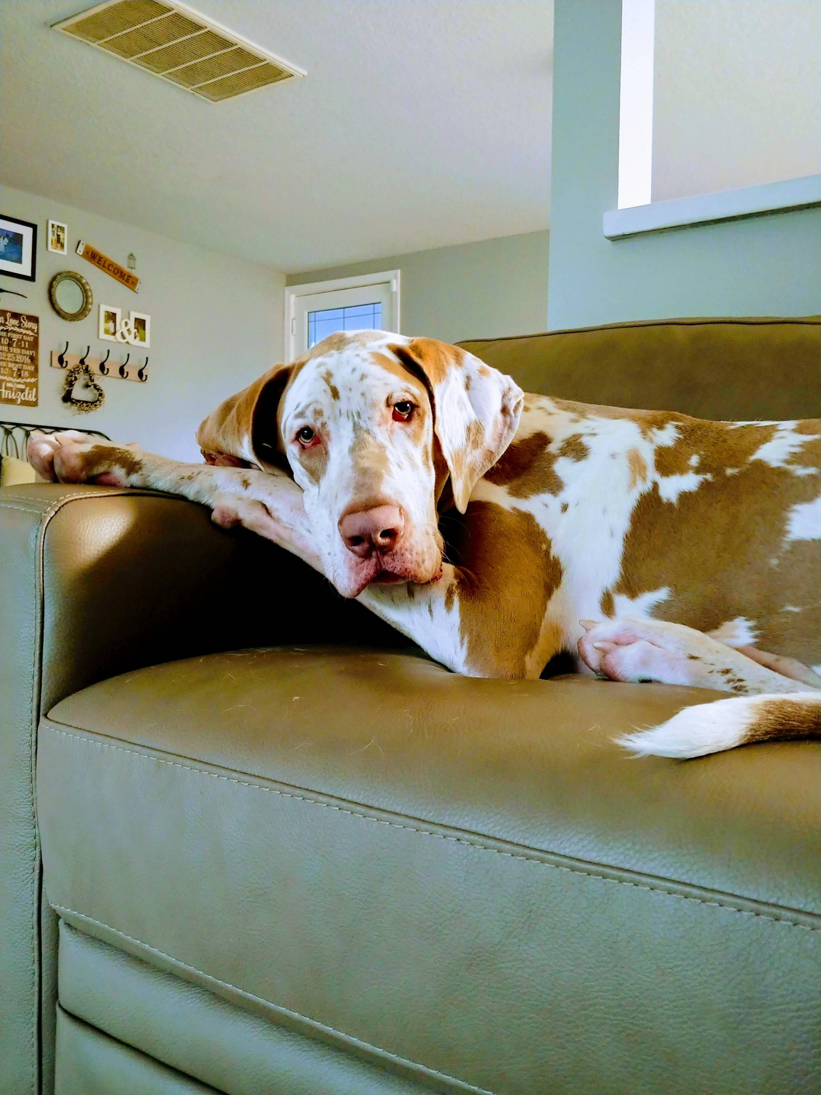 Our boy turned 8 months today | Scrolller