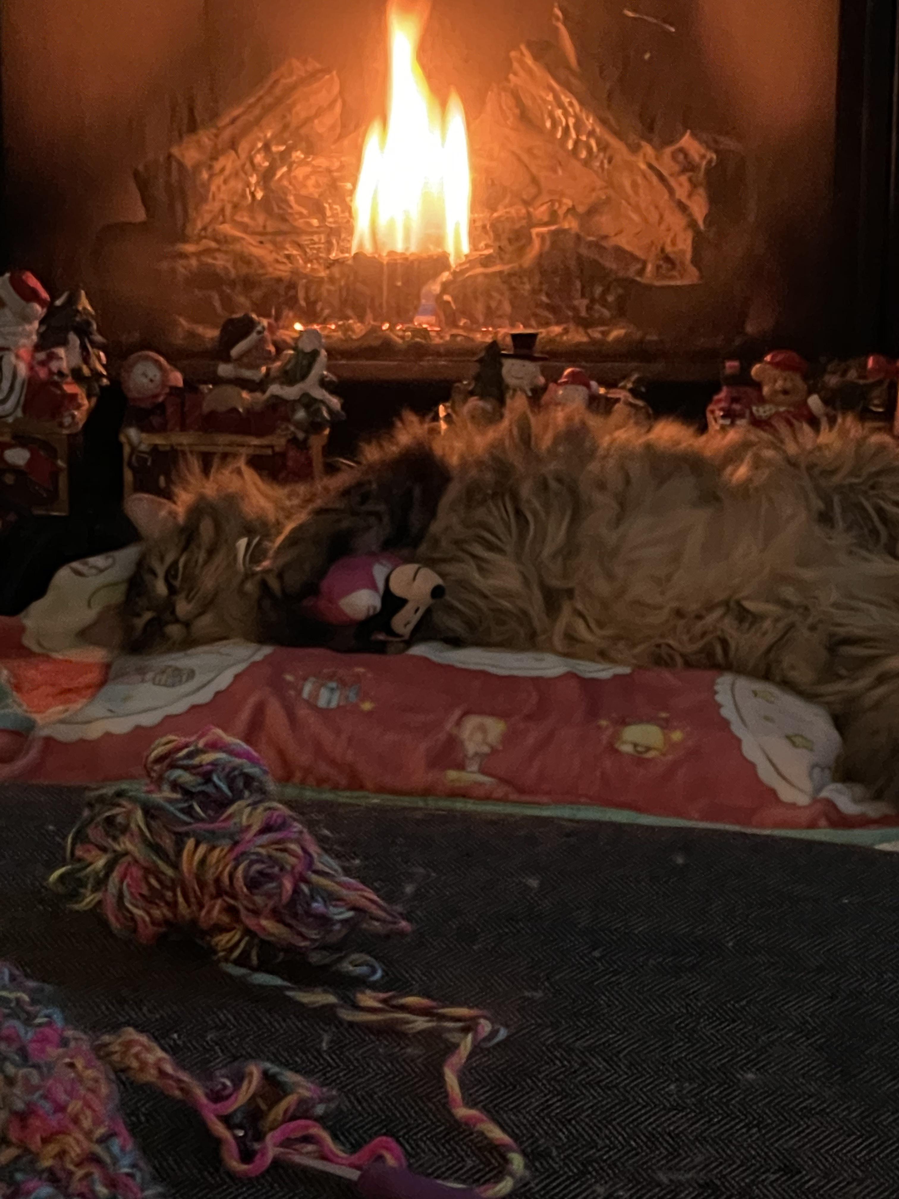 Our kitty with his mini mouse stuffy | Scrolller