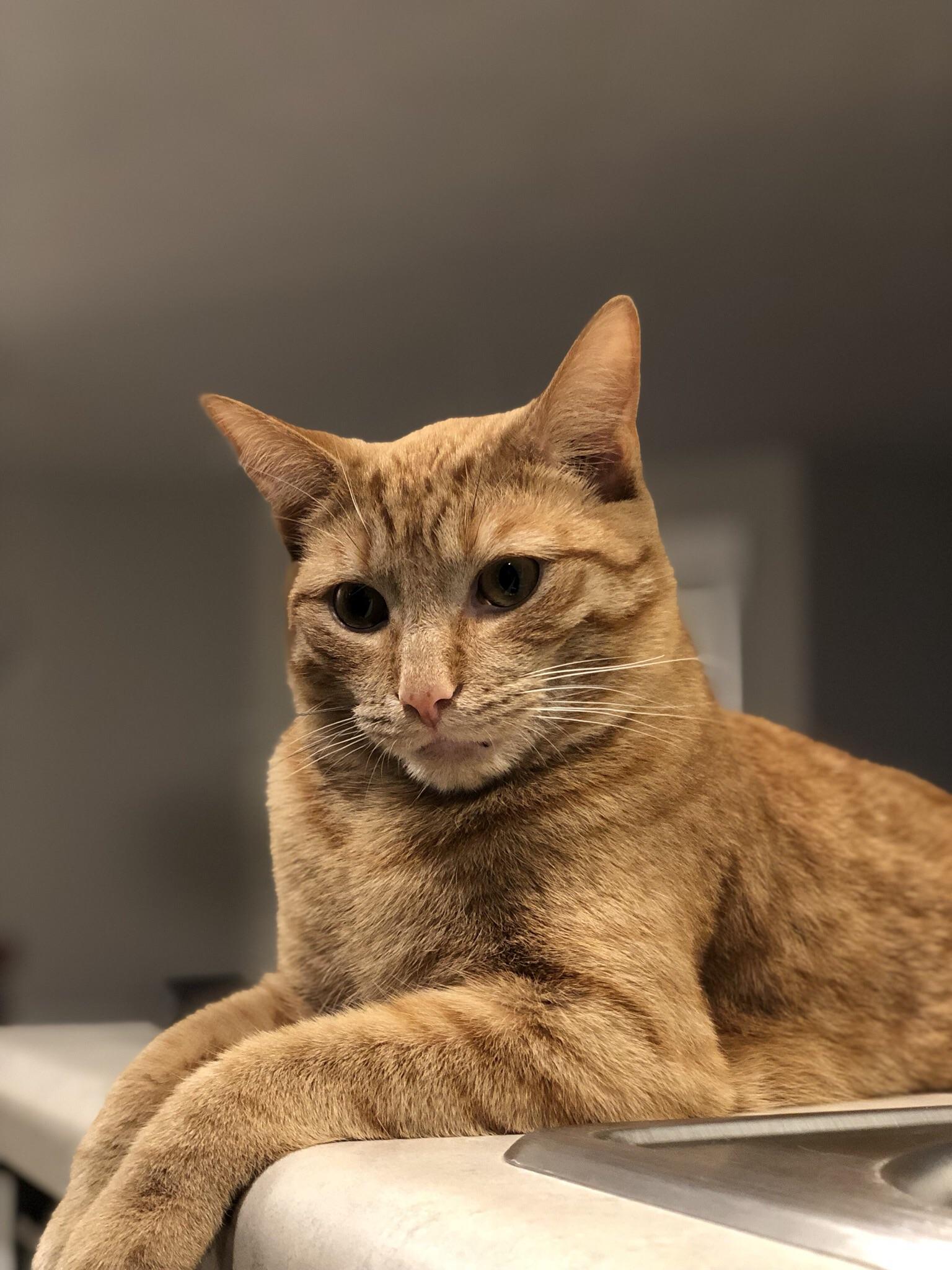 Our Lenny boy is so handsome💙 | Scrolller