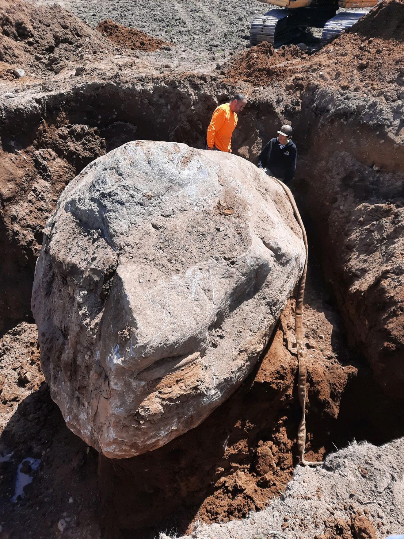 Our neighbors decided to dig up a rock in their field | Scrolller