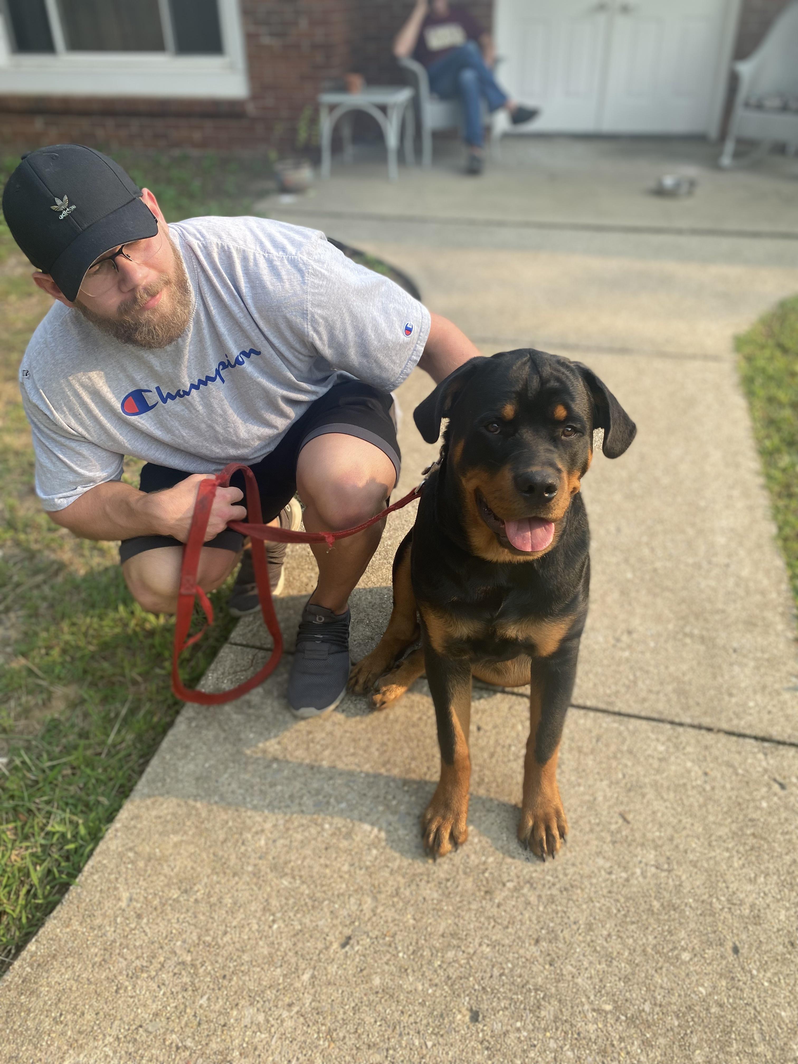 Our new 8 month old Rottweiler, Rowdy | Scrolller