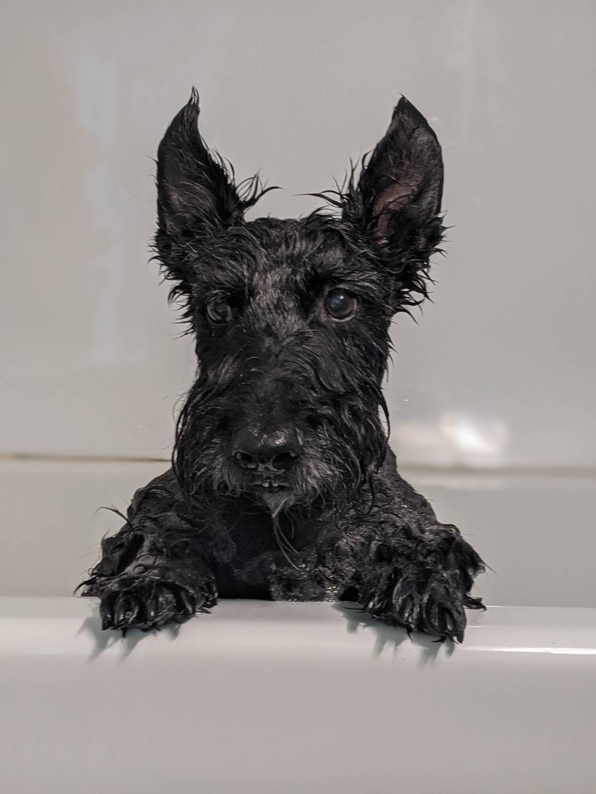 Our old man taking a bath. | Scrolller