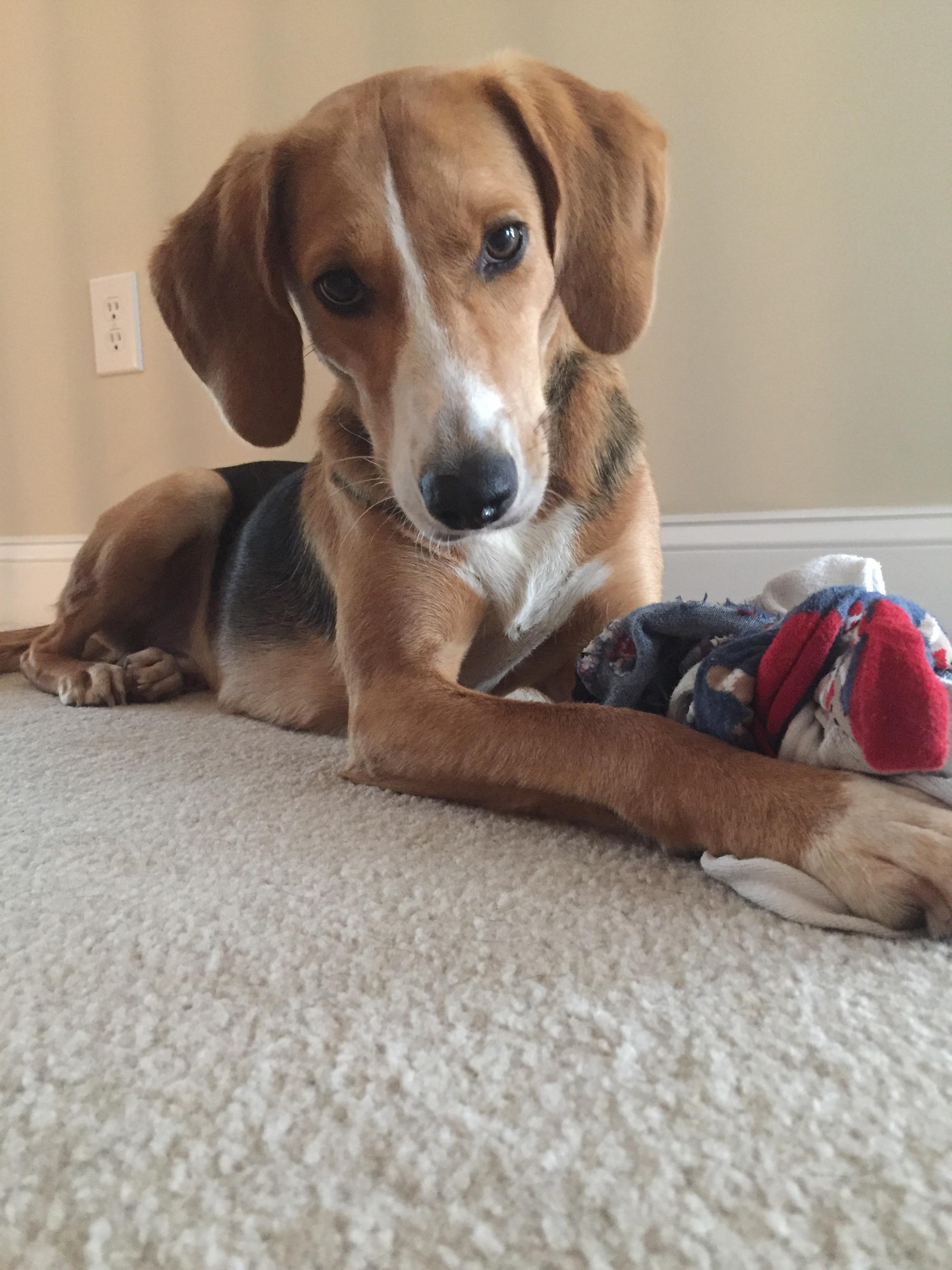 Our shy guy | Scrolller