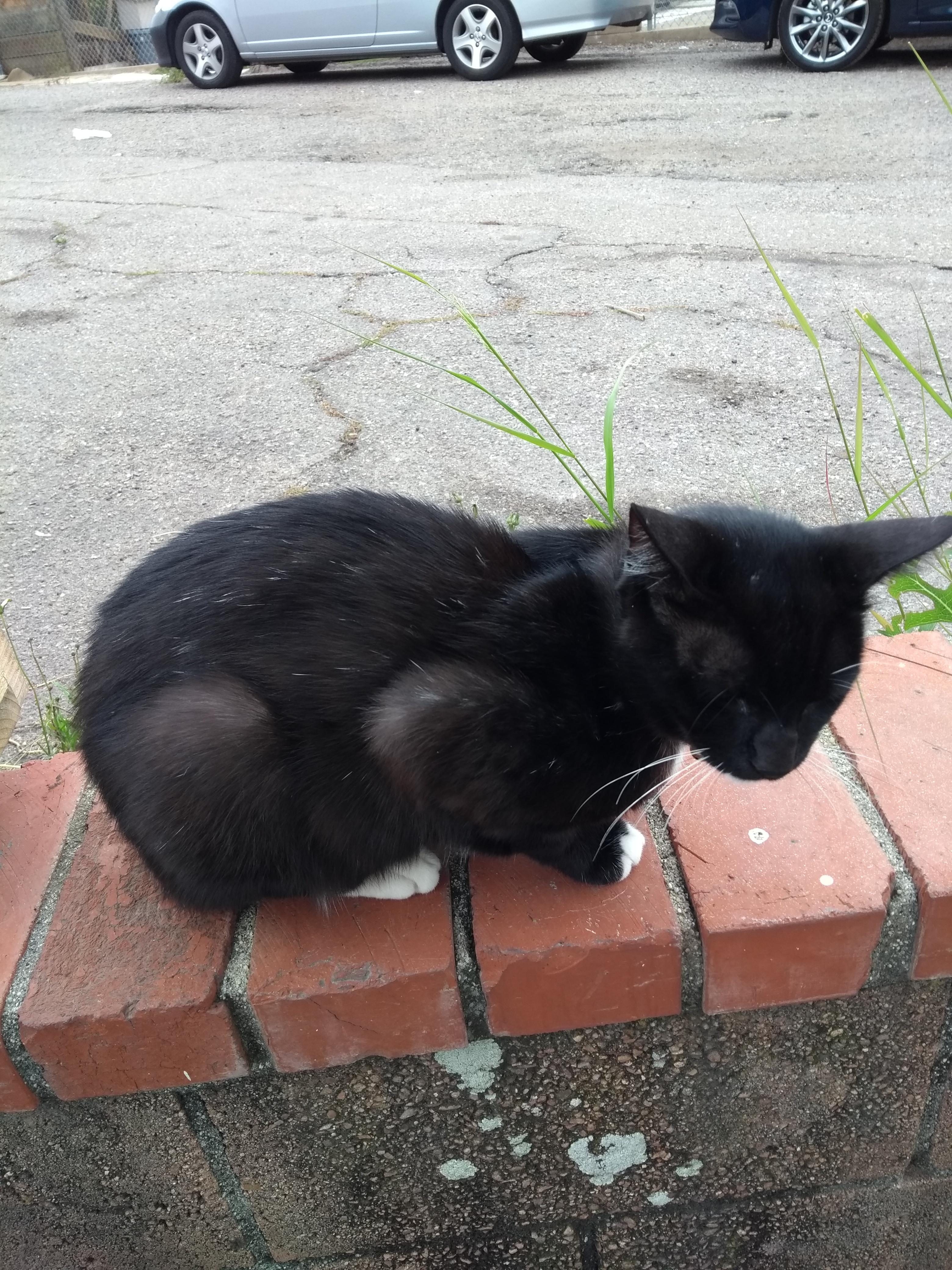 Outside loaf | Scrolller