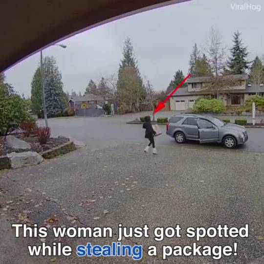 Package thief caught | Scrolller