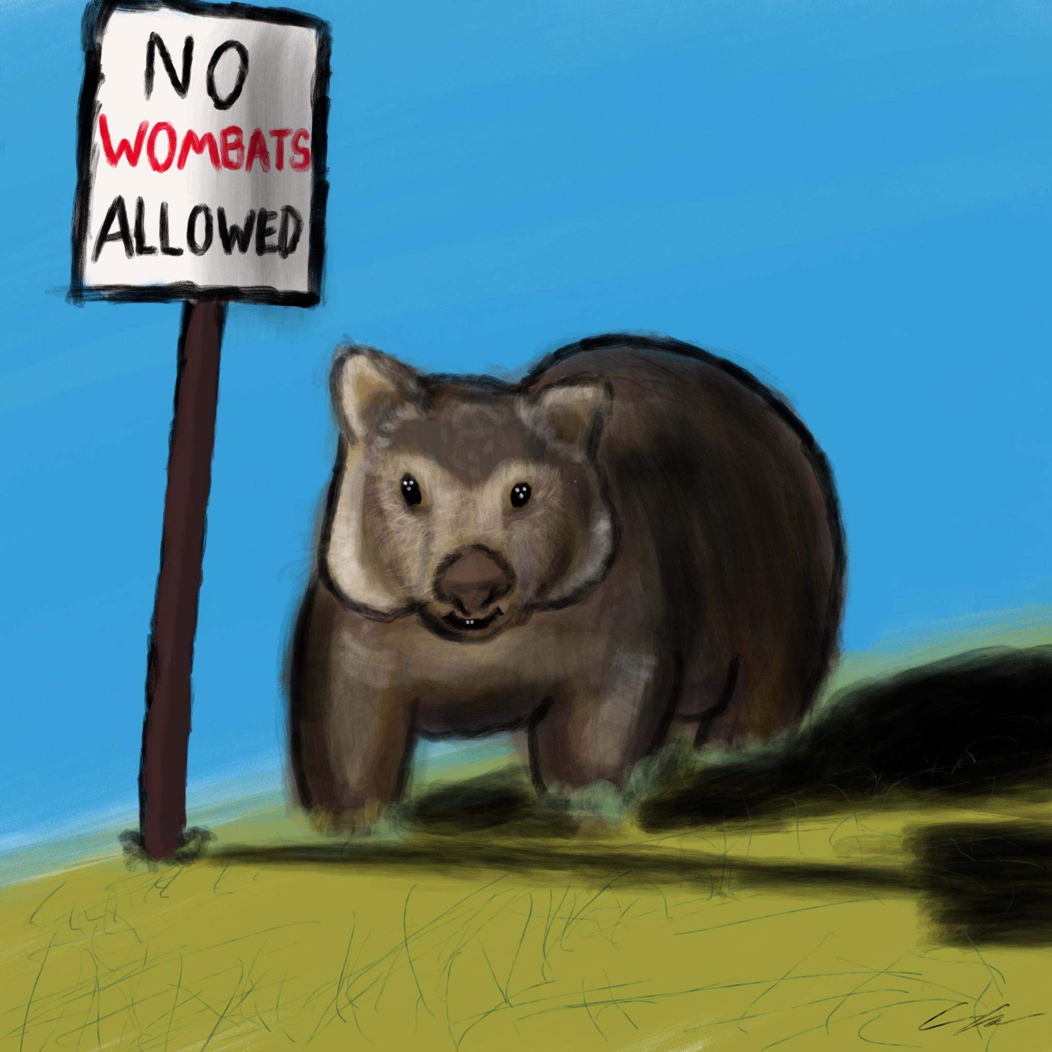 Painted another wombat for Wombat Wednesday. How rebellious. | Scrolller