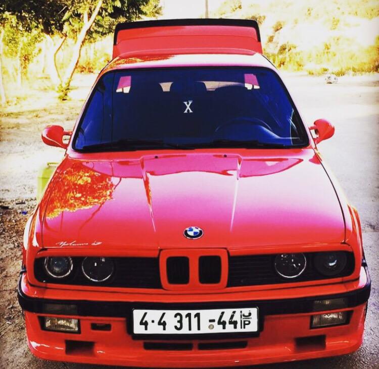 Palestinian red stinger | Scrolller