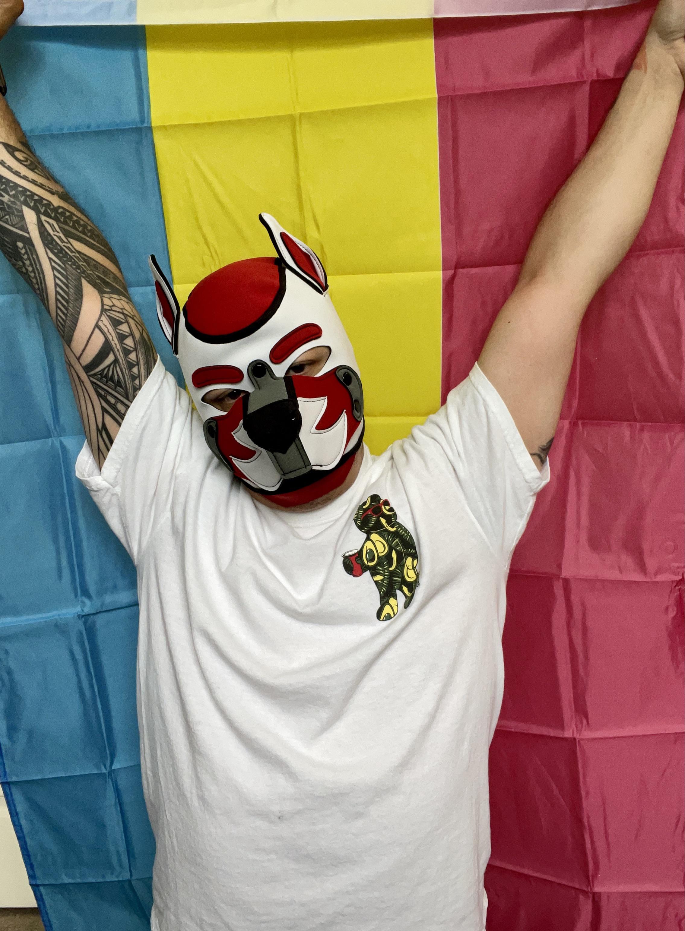 Pan-Pup-Pride 💖💛💙 | Scrolller