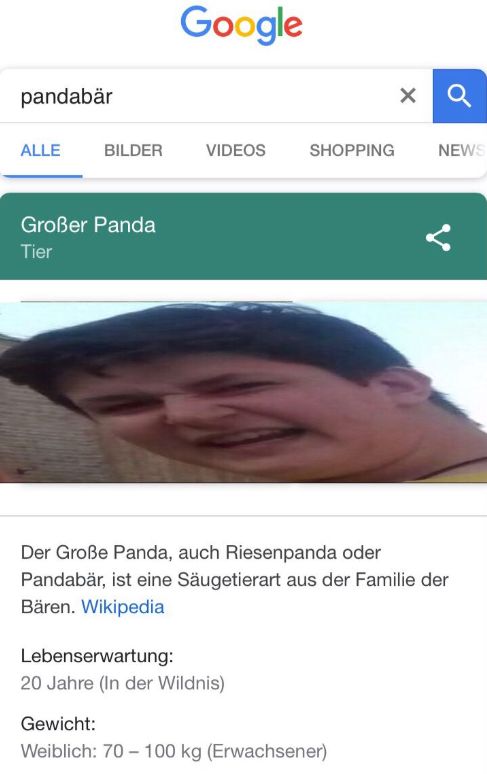 Panda Panda Panda Panda | Scrolller