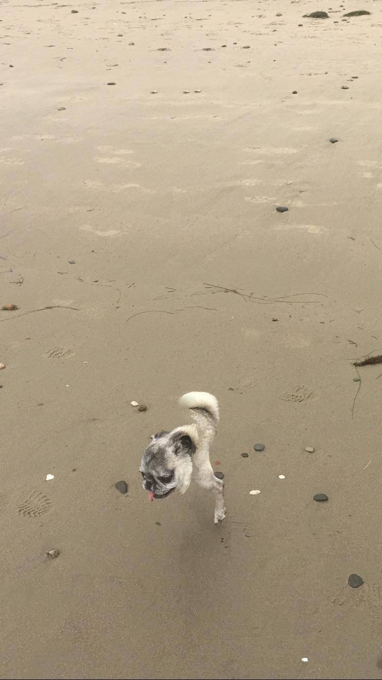 Panorama fail | Scrolller