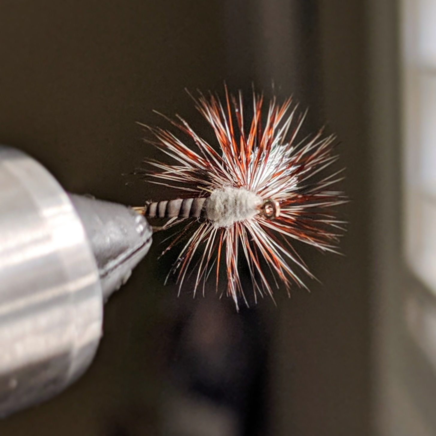 Parachute Adams | Scrolller