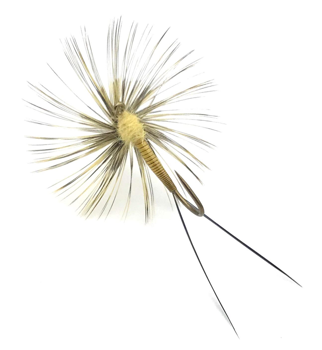 Parachute Drake 🪂 | Scrolller