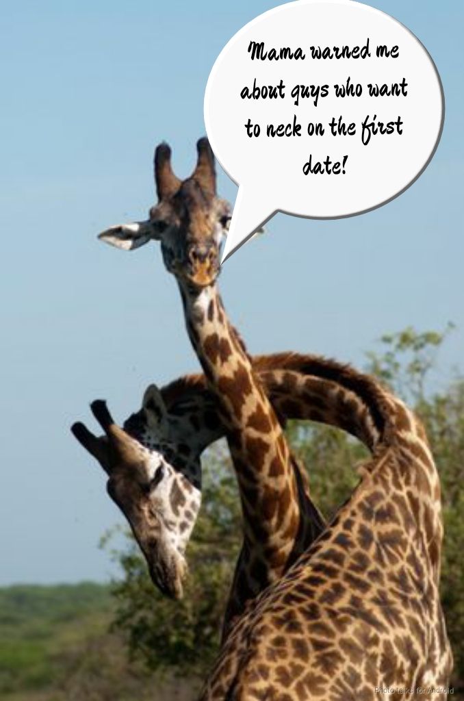 Parental Advice | Scrolller