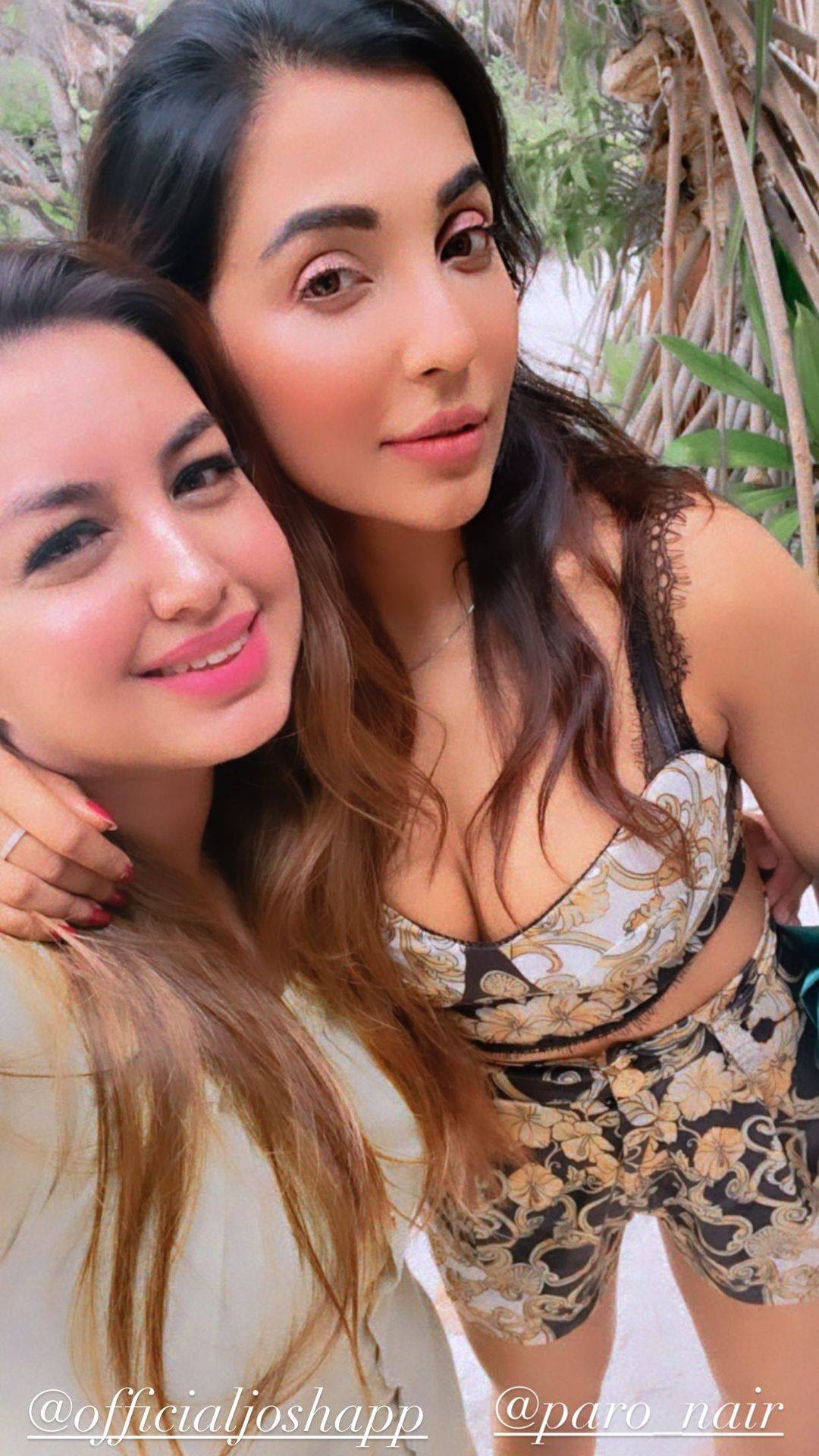 Paroo 🍊🤤 | Scrolller