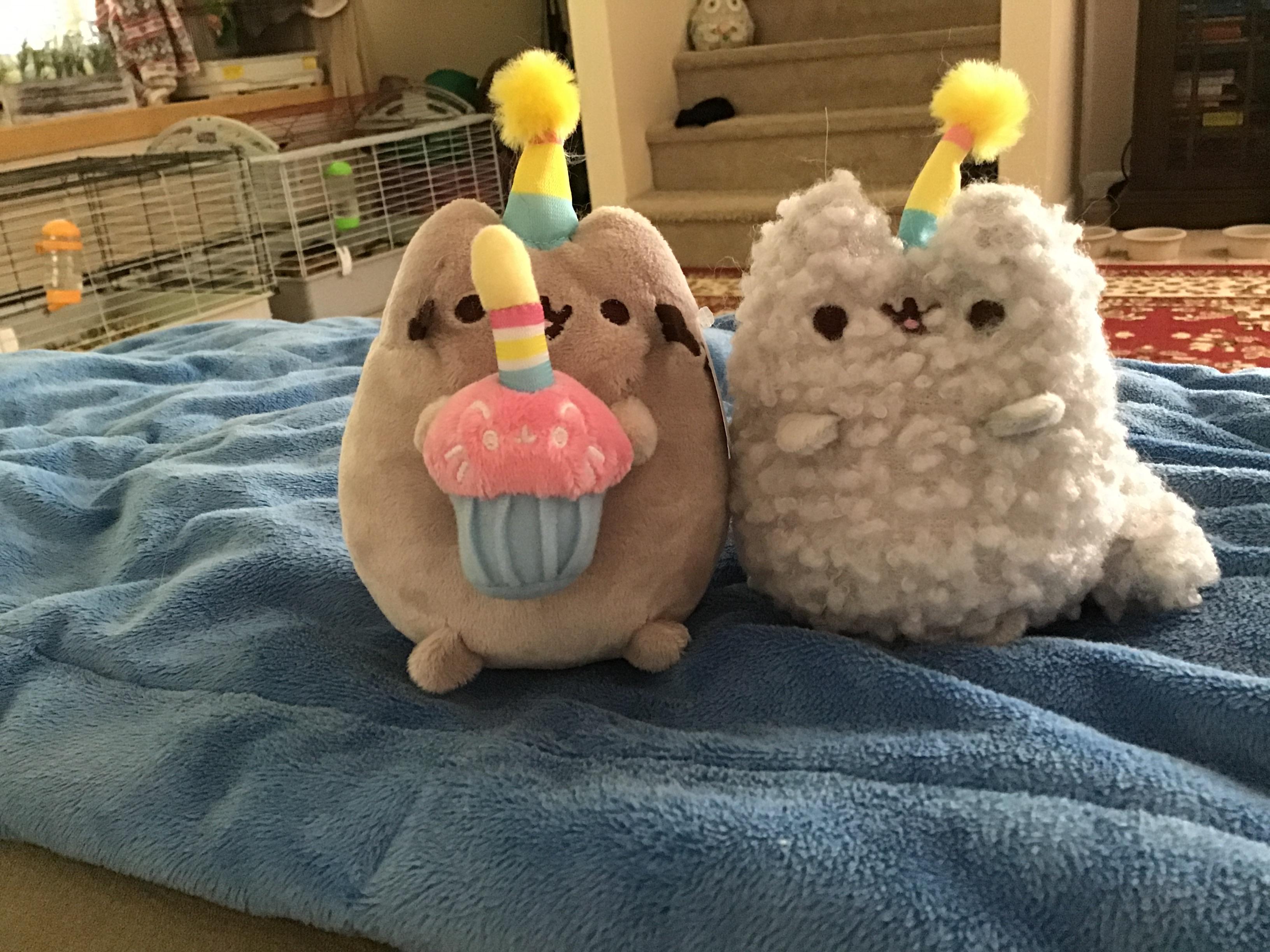 Party pusheen and party stormy! | Scrolller