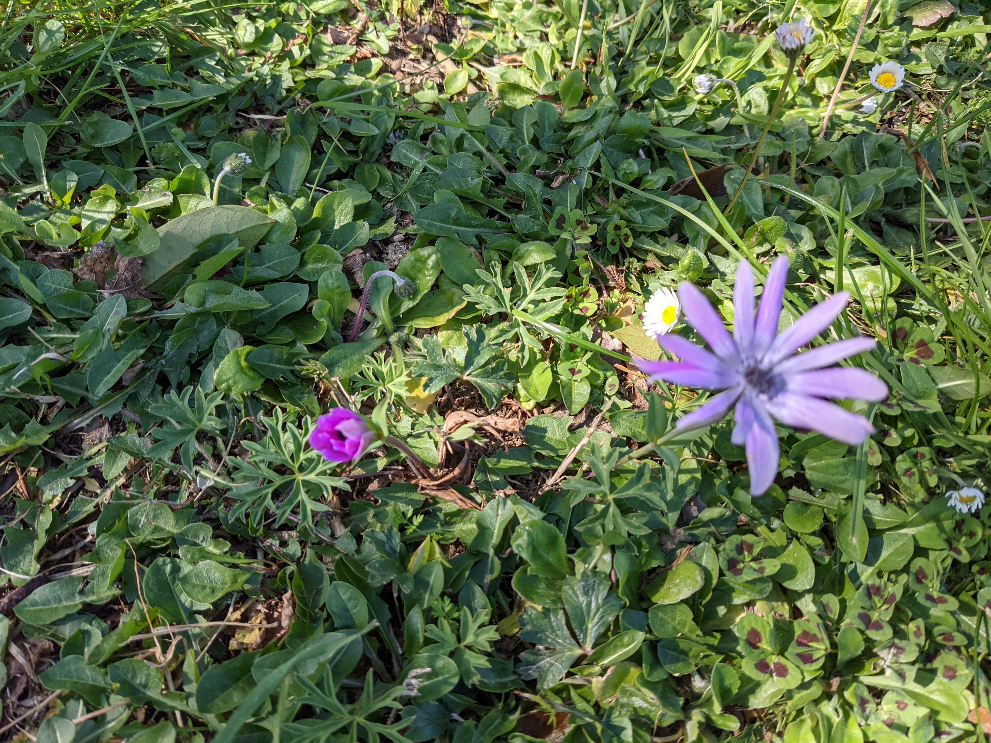 Past, present, future? | Scrolller