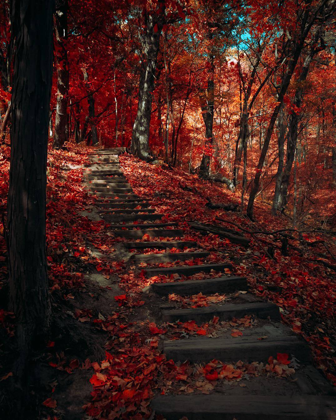 Pathway in Iowa | Scrolller