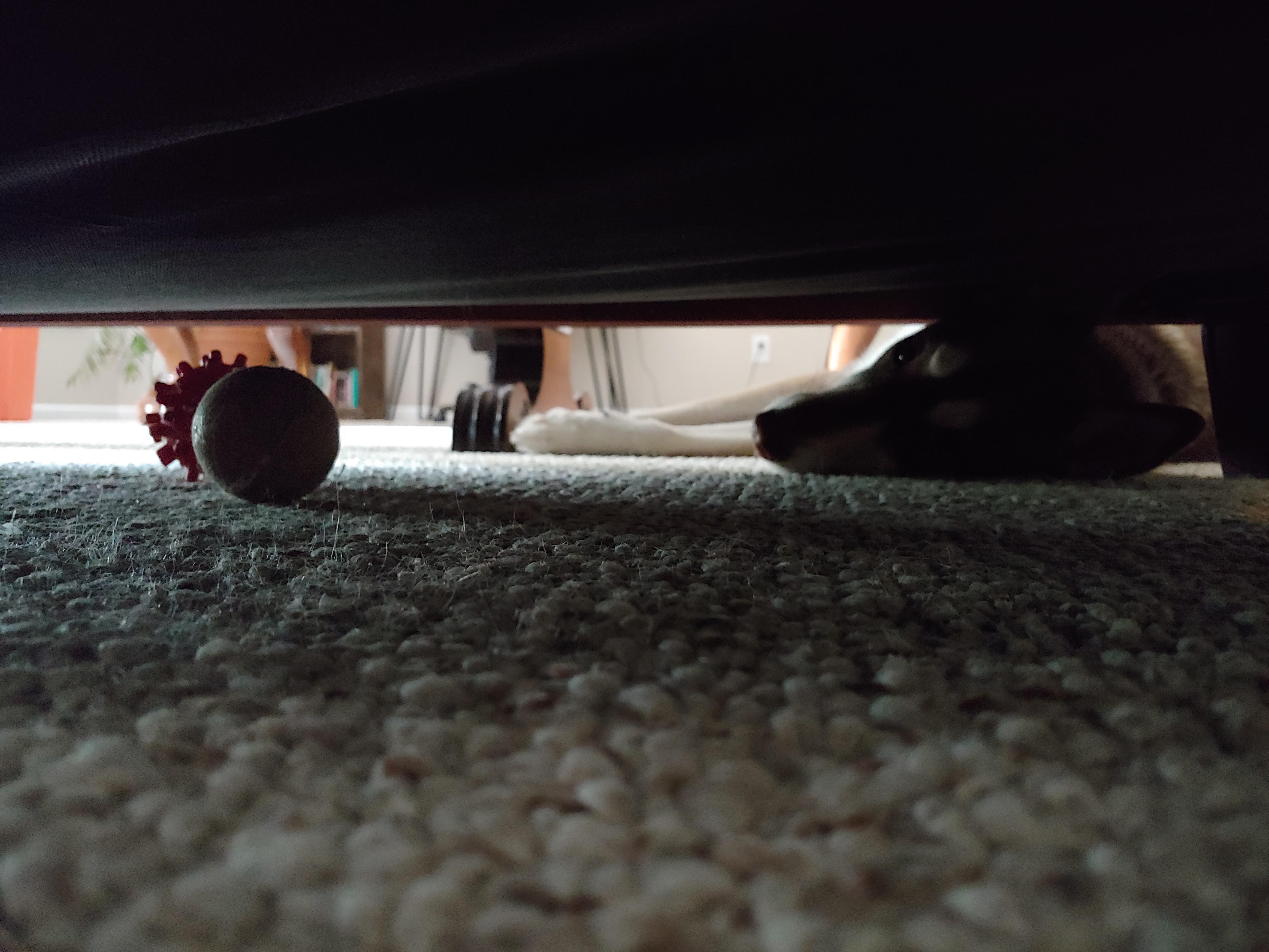 Peep in the shadows | Scrolller