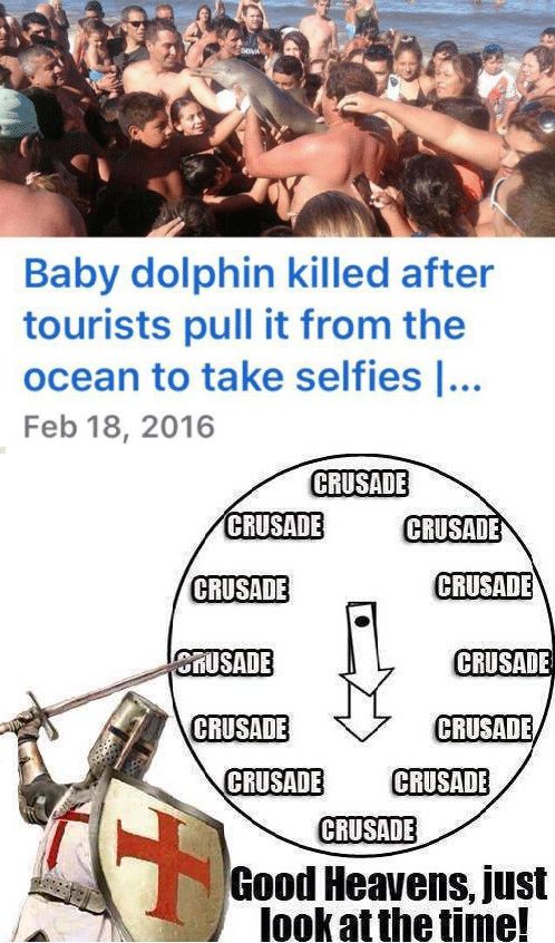 People are so stupid | Scrolller