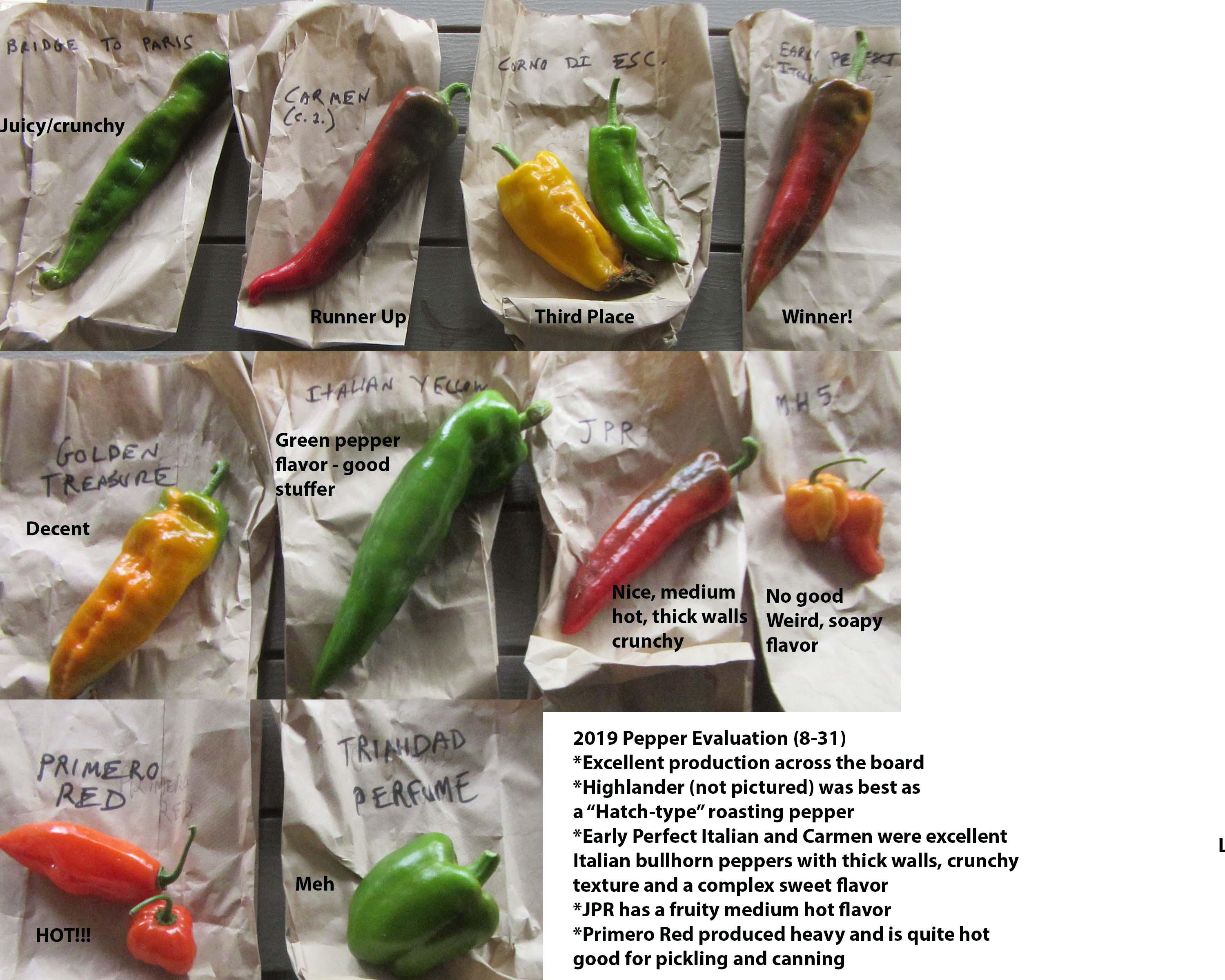 Pepper Evaluation | Scrolller