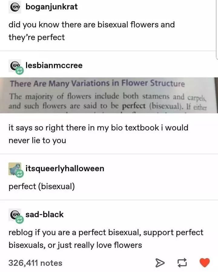 Perfect (Bisexual) | Scrolller