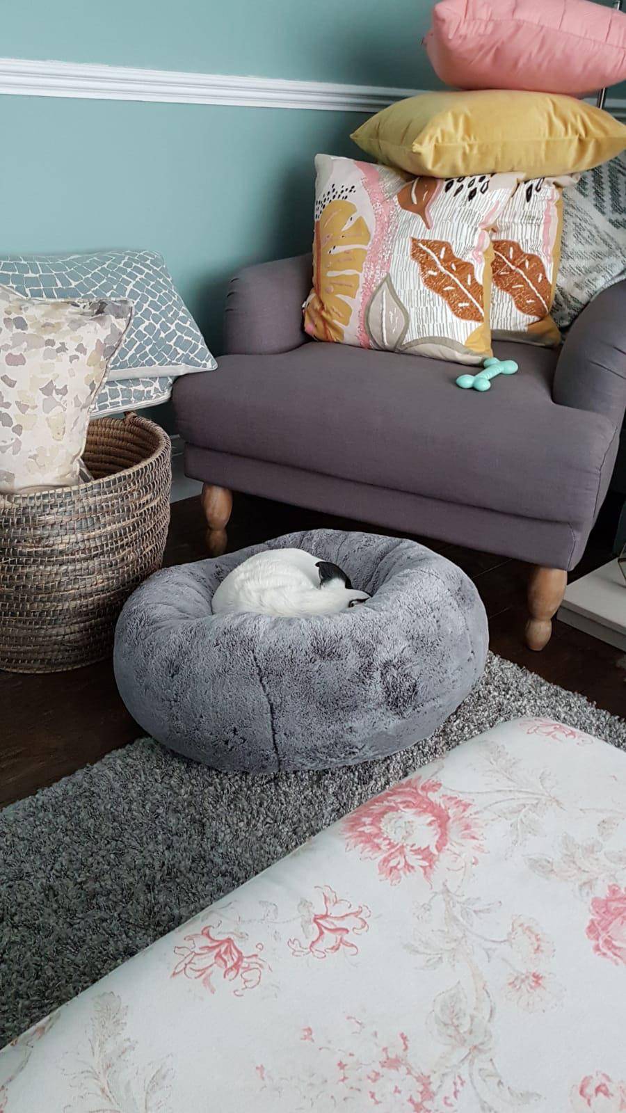 Perfect fit | Scrolller