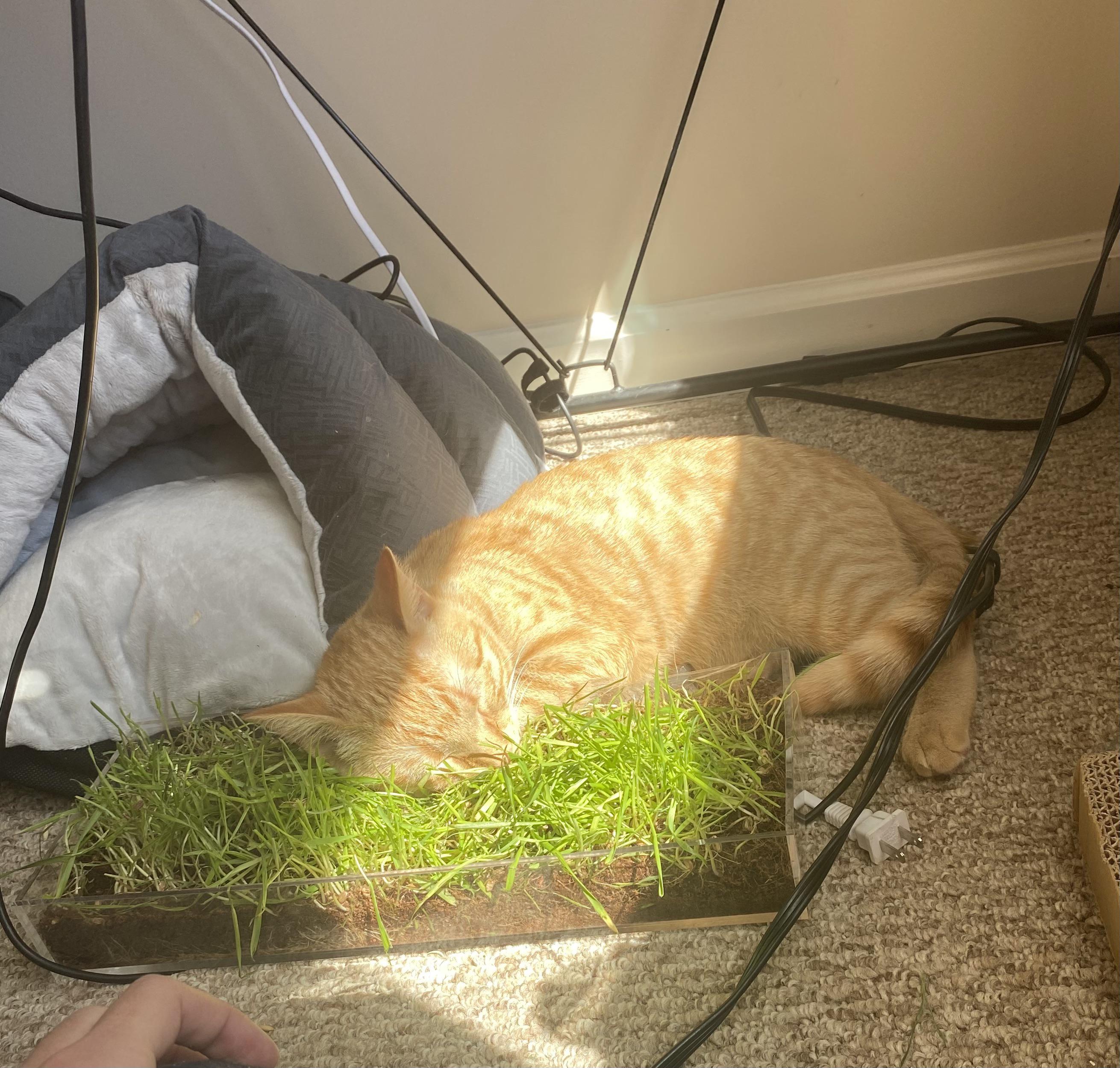Perfect napping location | Scrolller