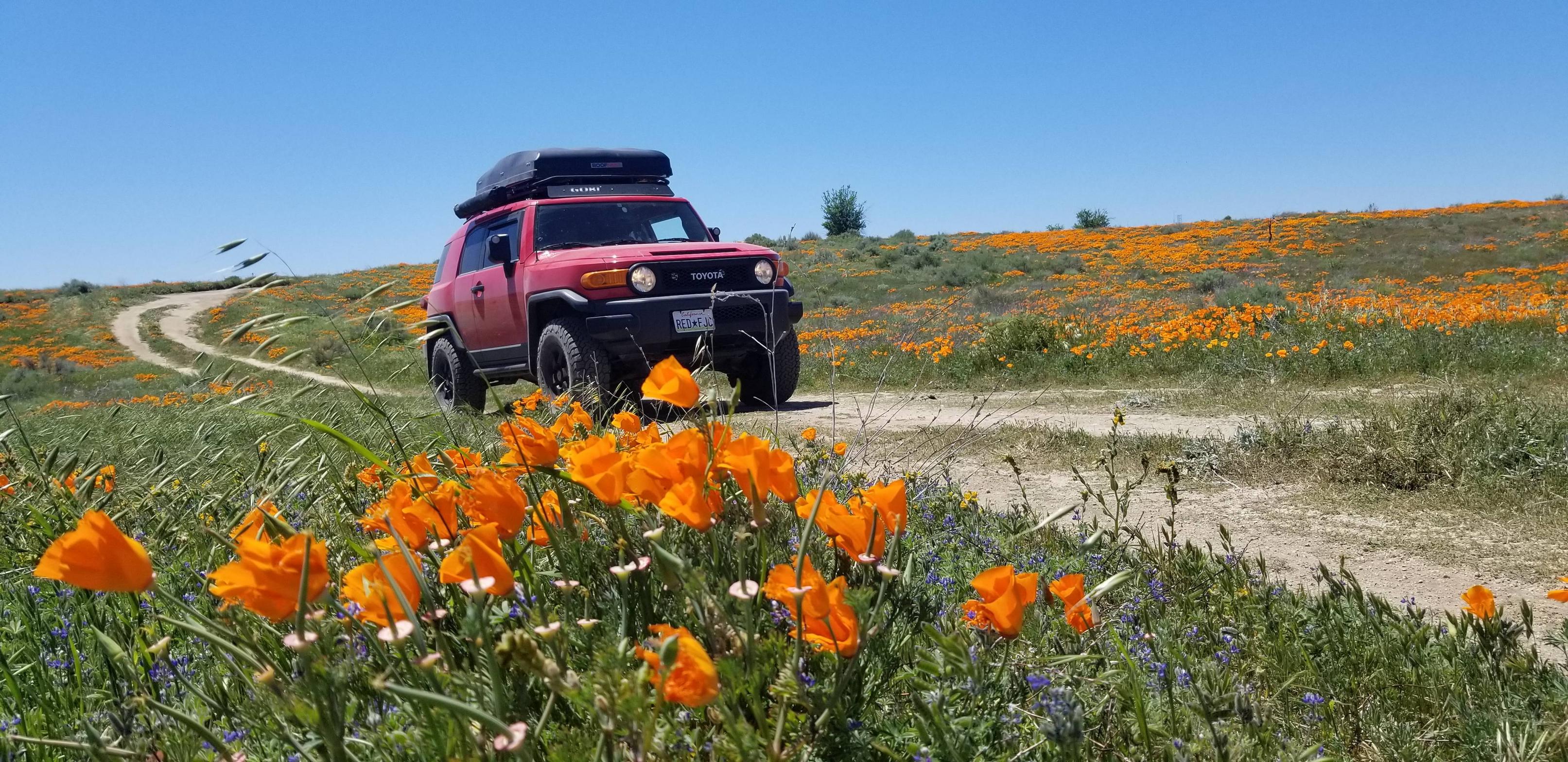 Perfect weather in So Cal | Scrolller