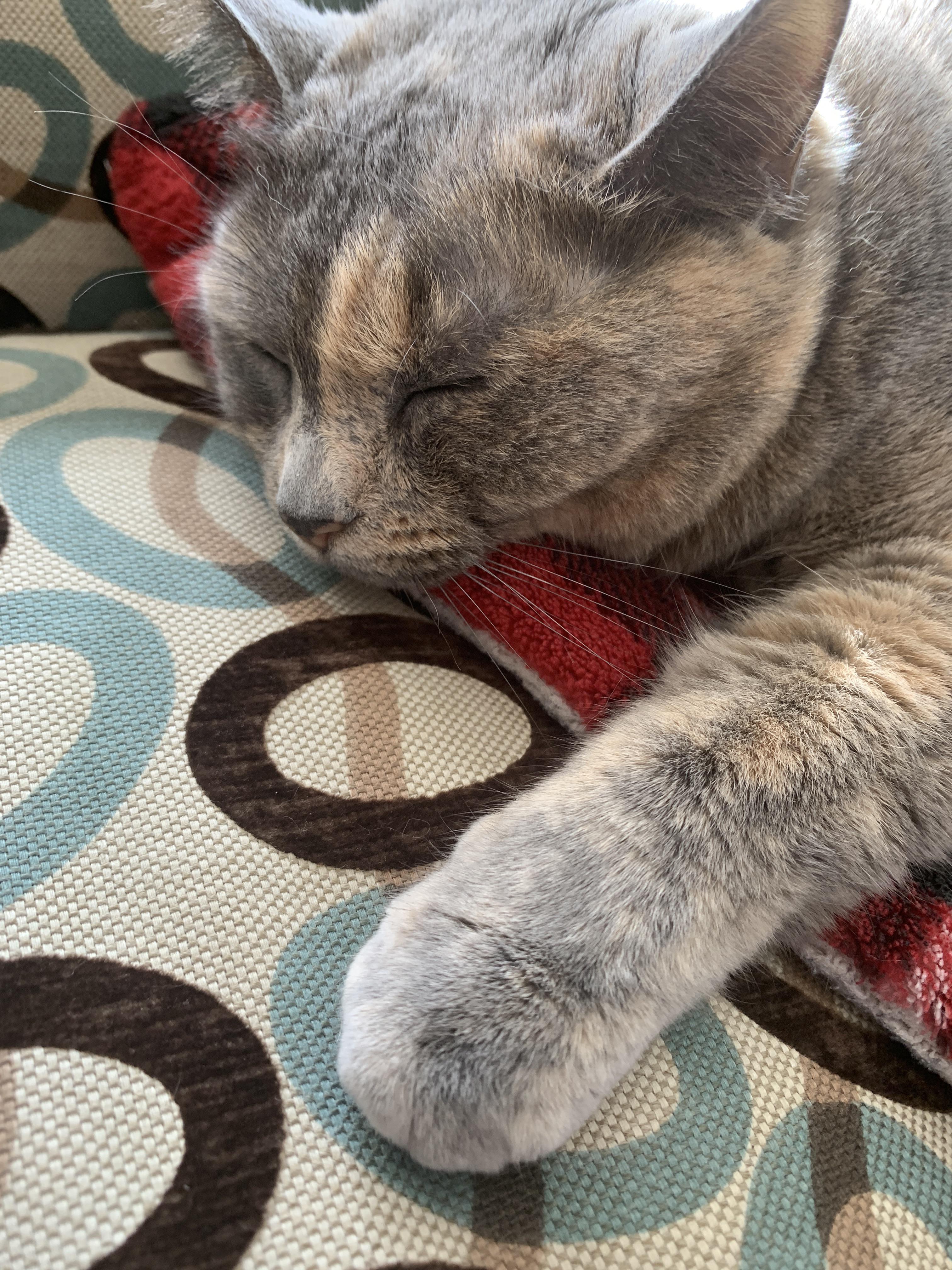 Perfectly round | Scrolller