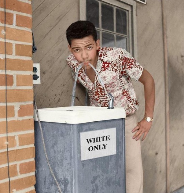 Persian Americans during segregation be like | Scrolller