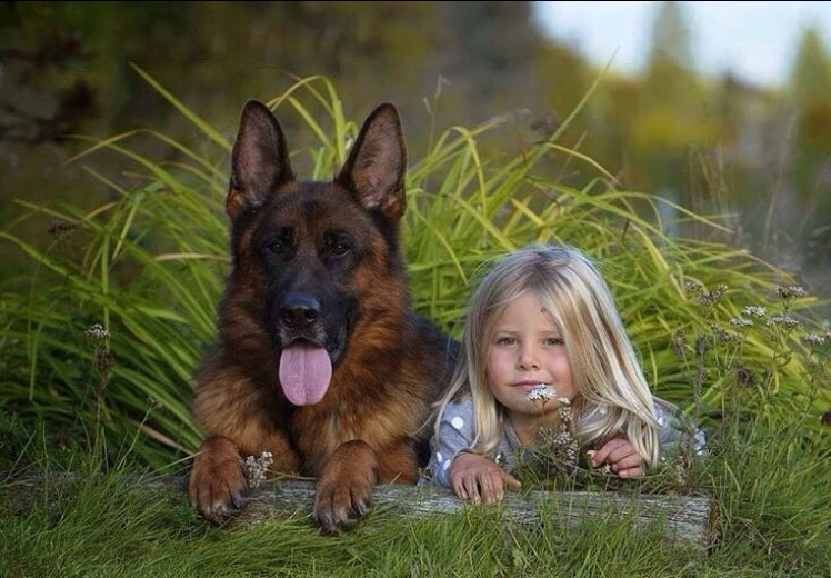 Personal bodyguard | Scrolller